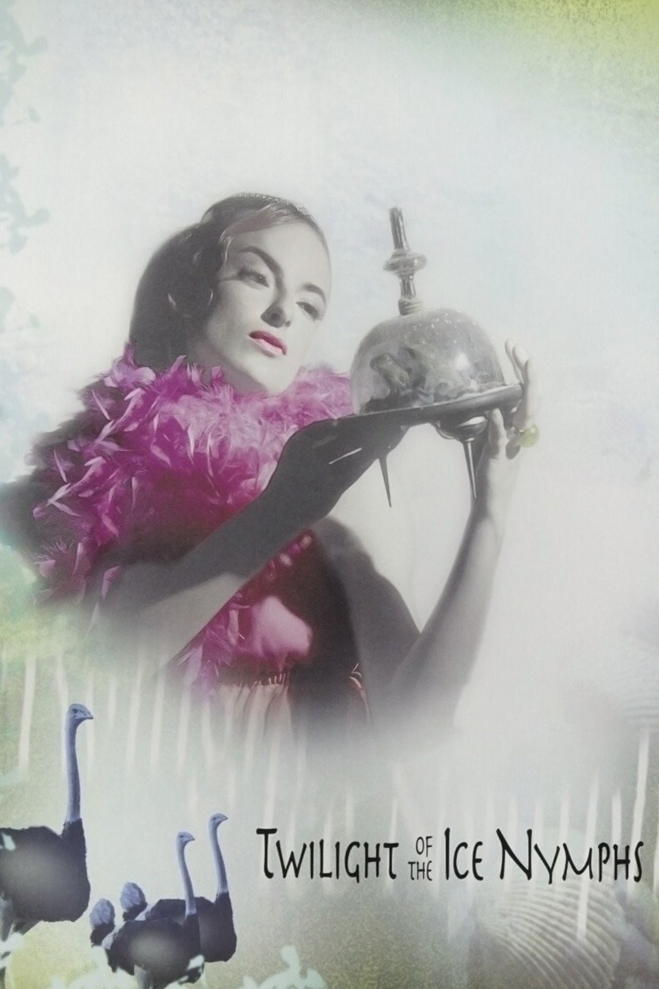 Twilight of the Ice Nymphs | Rotten Tomatoes