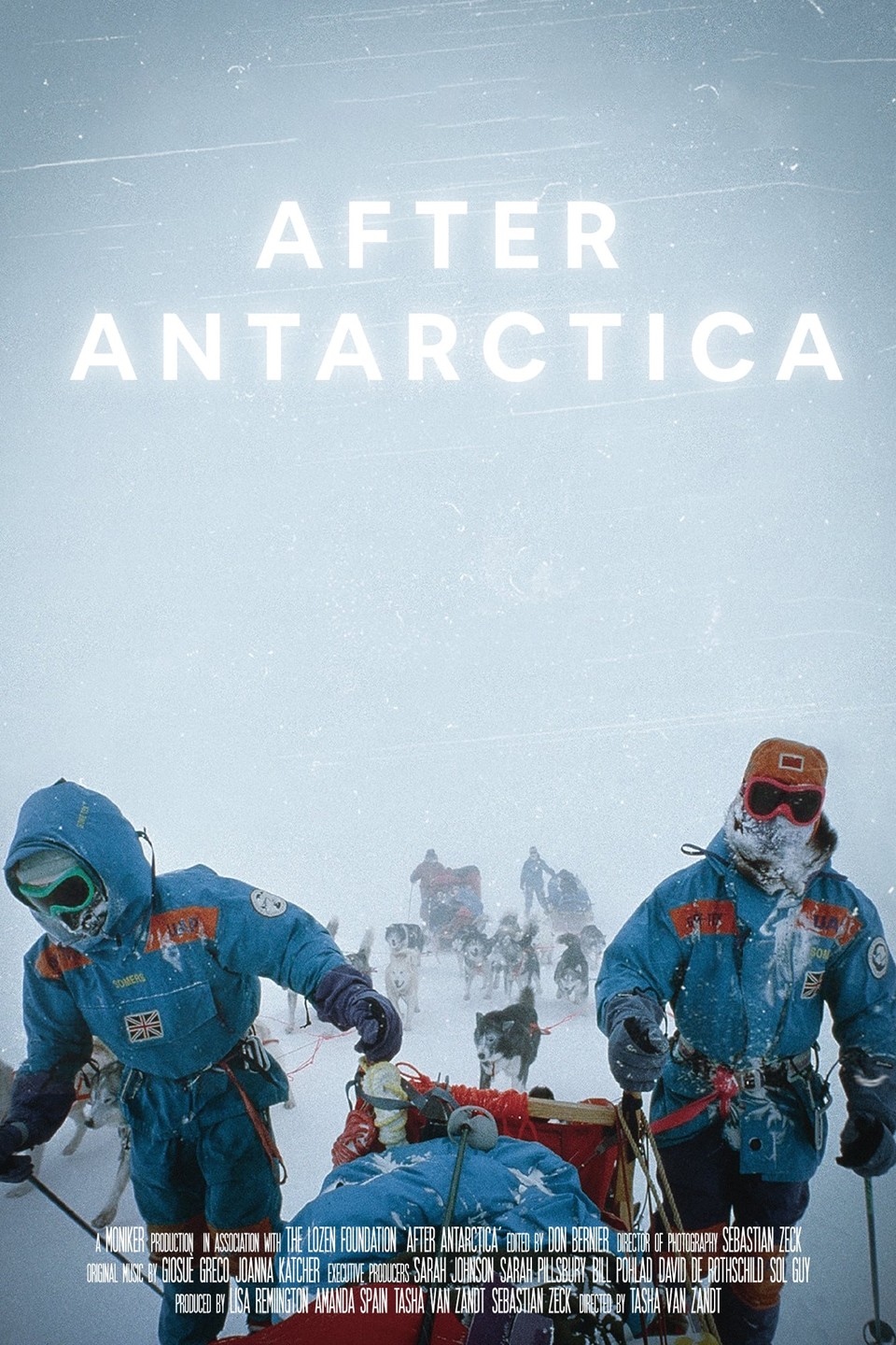 After Antarctica | Rotten Tomatoes