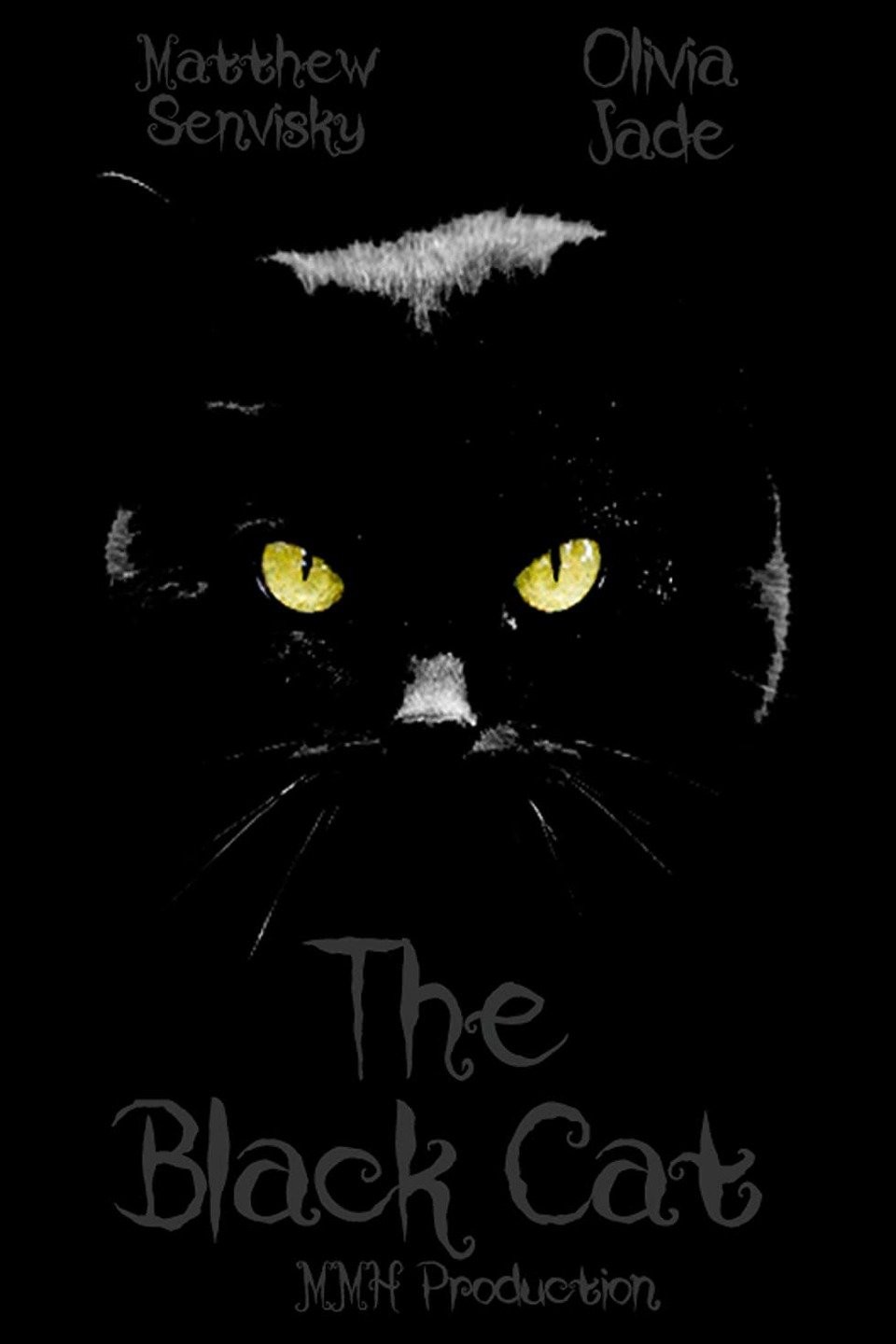 The Black Cat | Rotten Tomatoes