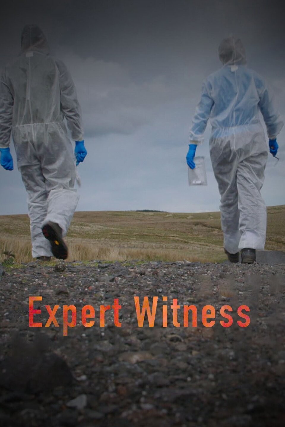 Expert Witness - Rotten Tomatoes