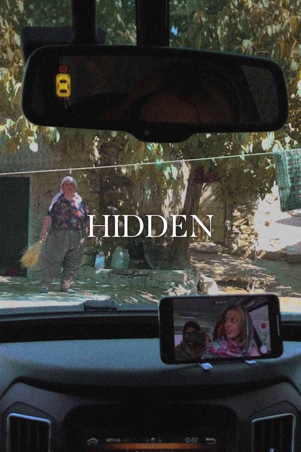 Hidden Pictures | Rotten Tomatoes
