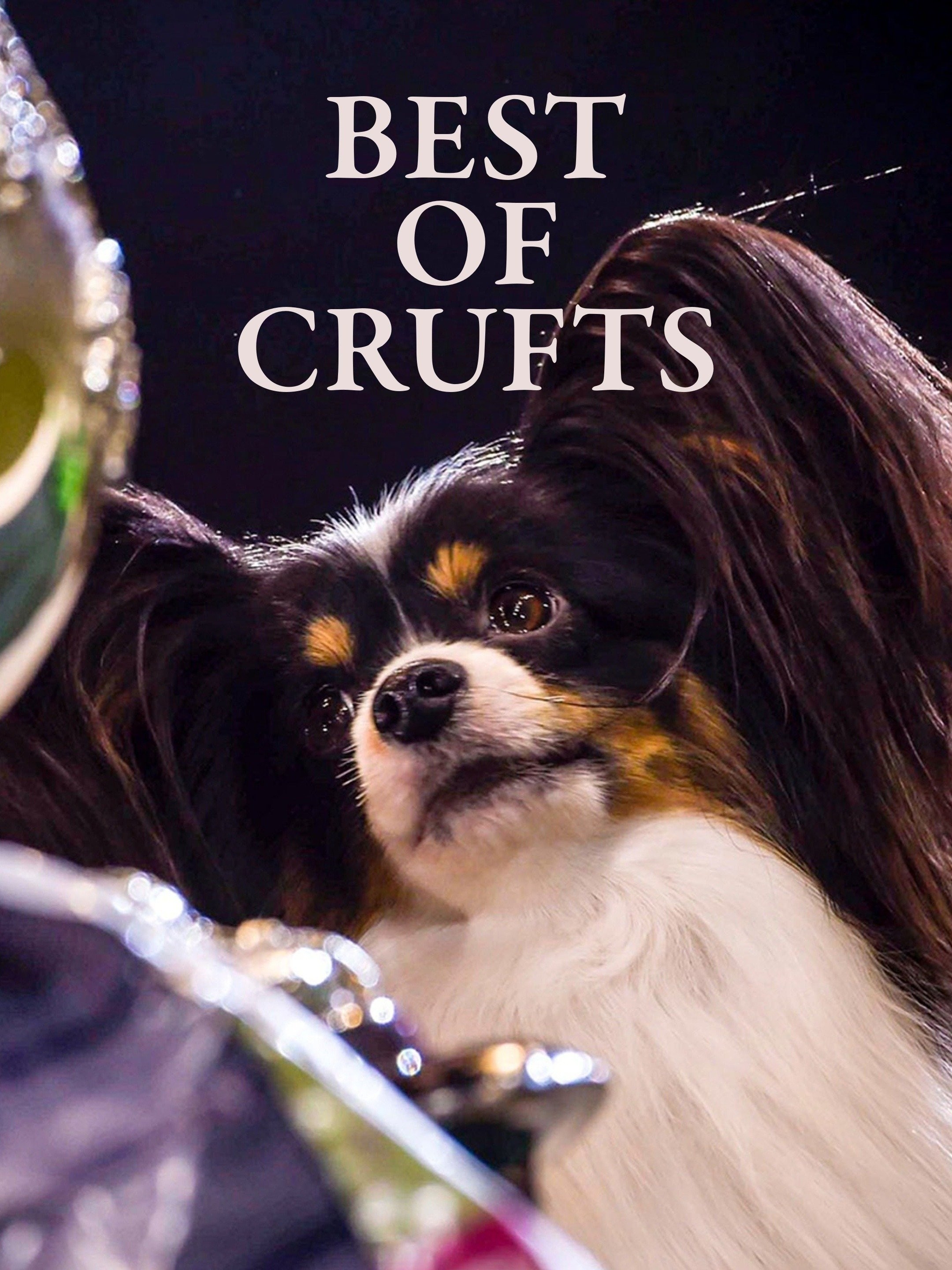 Best of Crufts Season 1 | Rotten Tomatoes