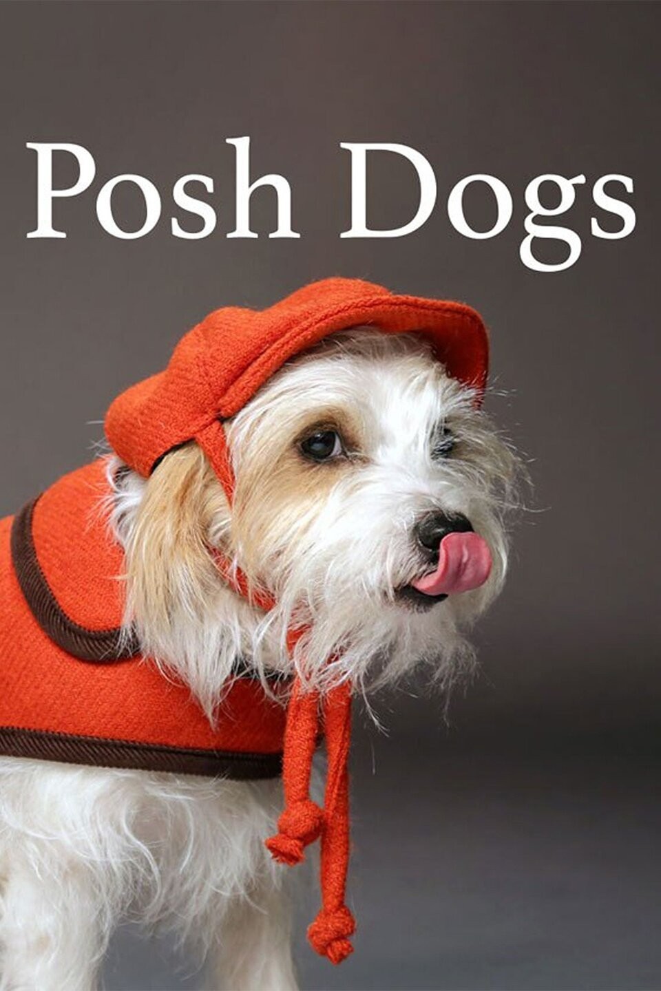 Posh Dogs Pictures | Rotten Tomatoes
