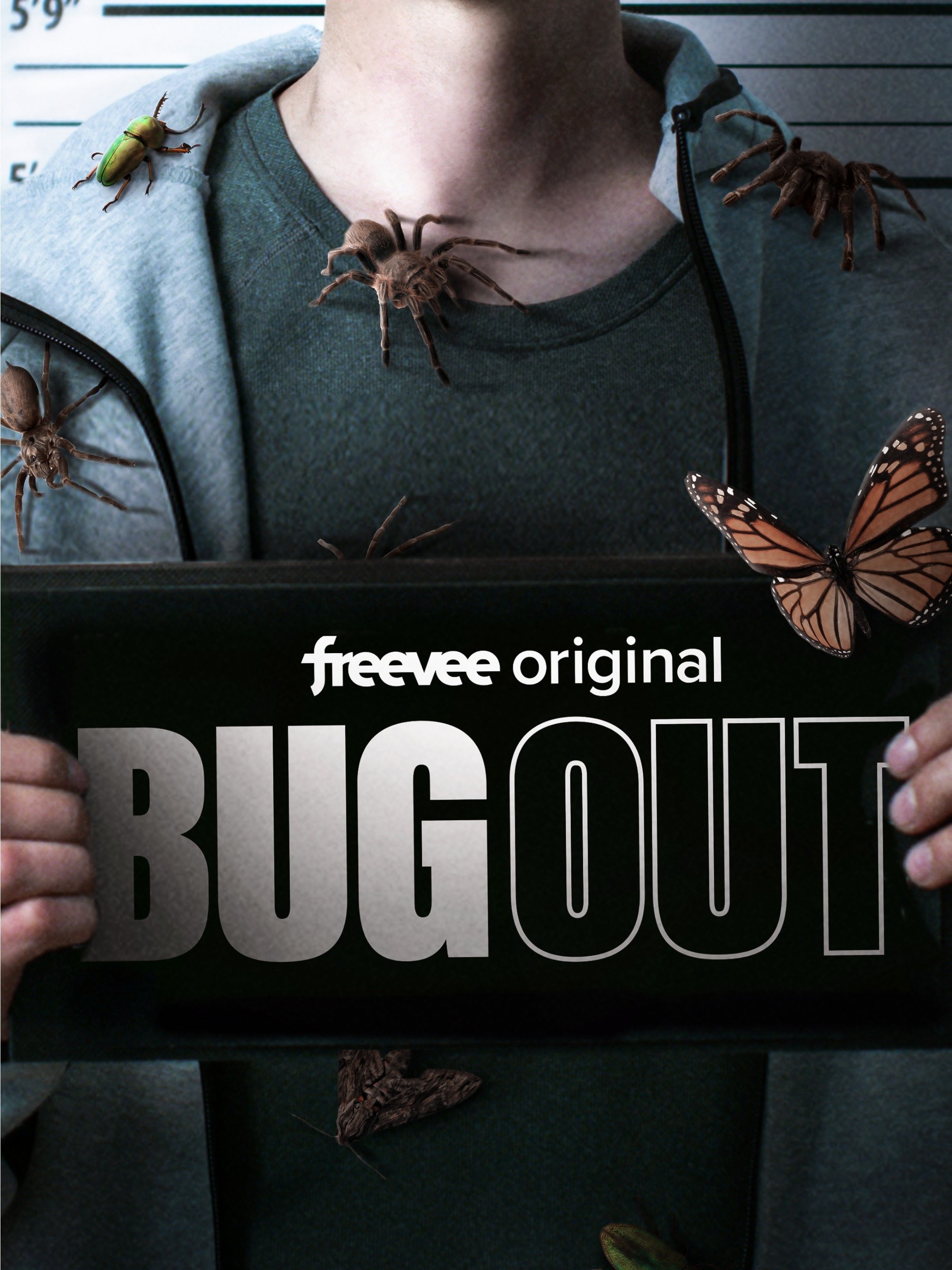 Bug Out Season 1 | Rotten Tomatoes