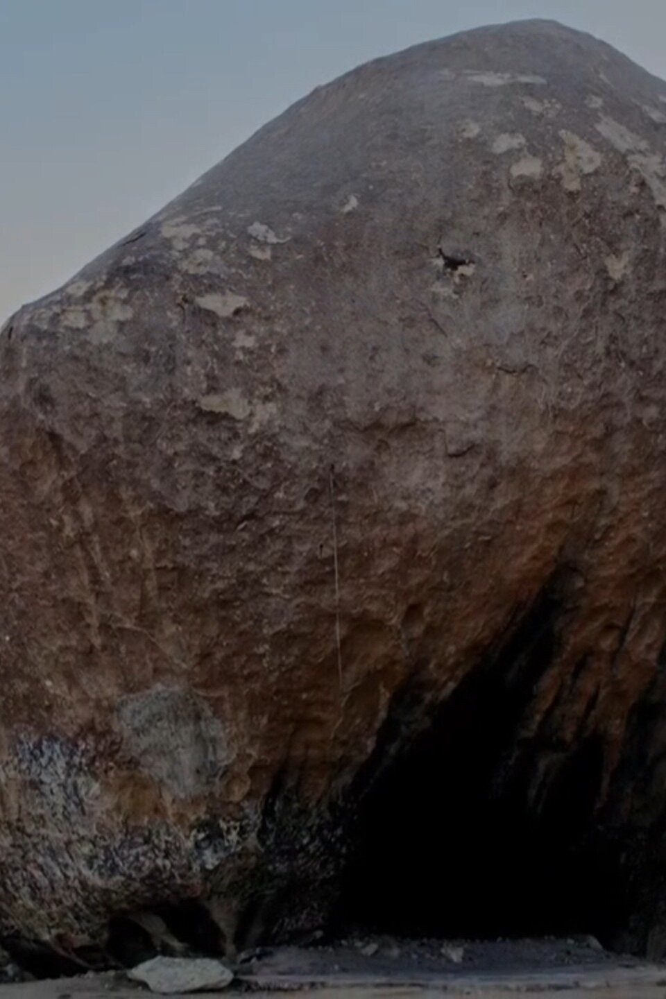 Nuclear Creature Enigma Pictures | Rotten Tomatoes