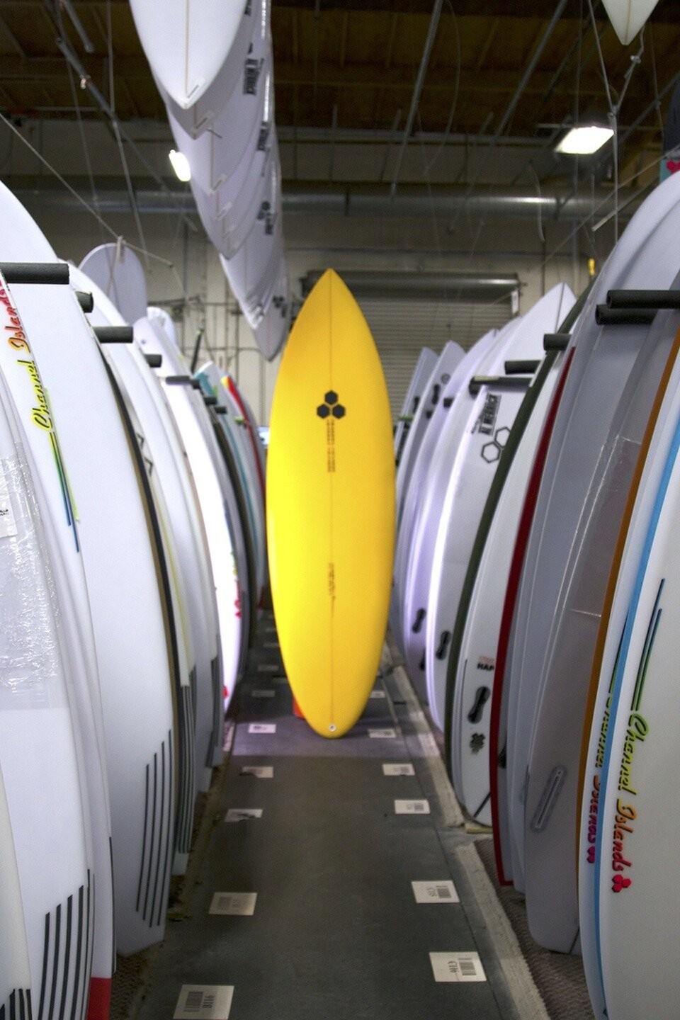 Surfboard Pictures | Rotten Tomatoes