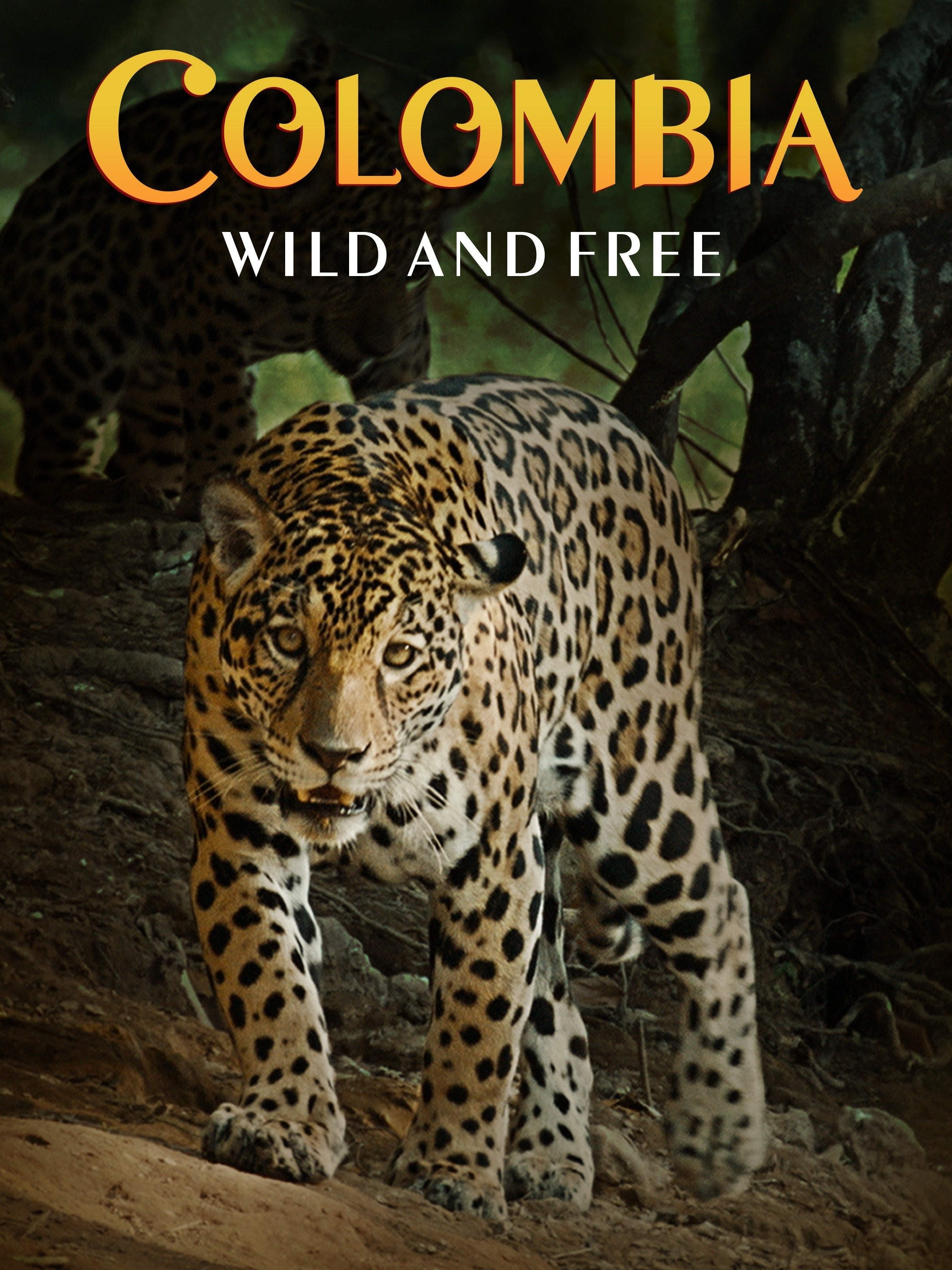 Colombia -- Wild and Free - Rotten Tomatoes