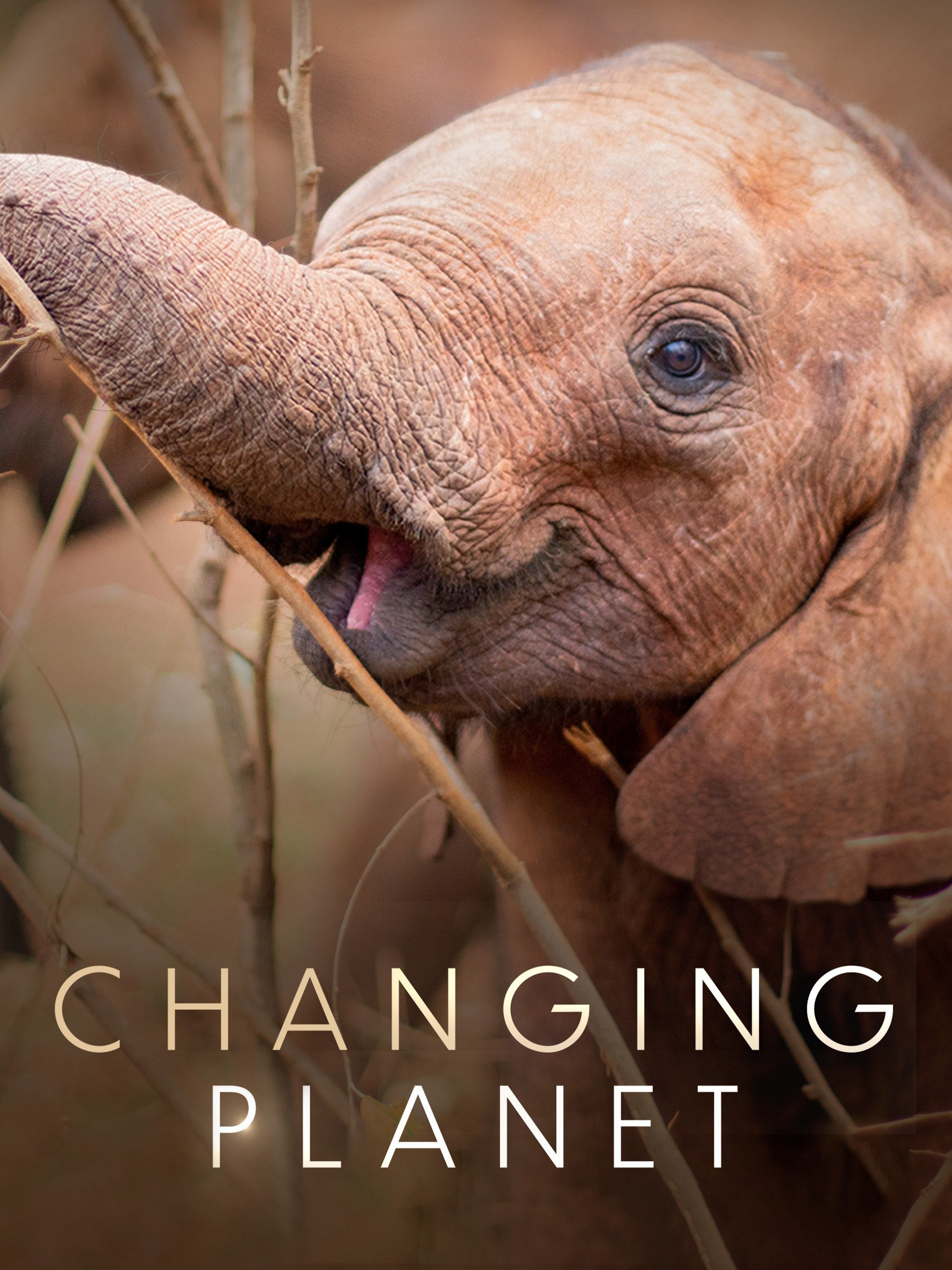 Changing Planet Season 1 | Rotten Tomatoes