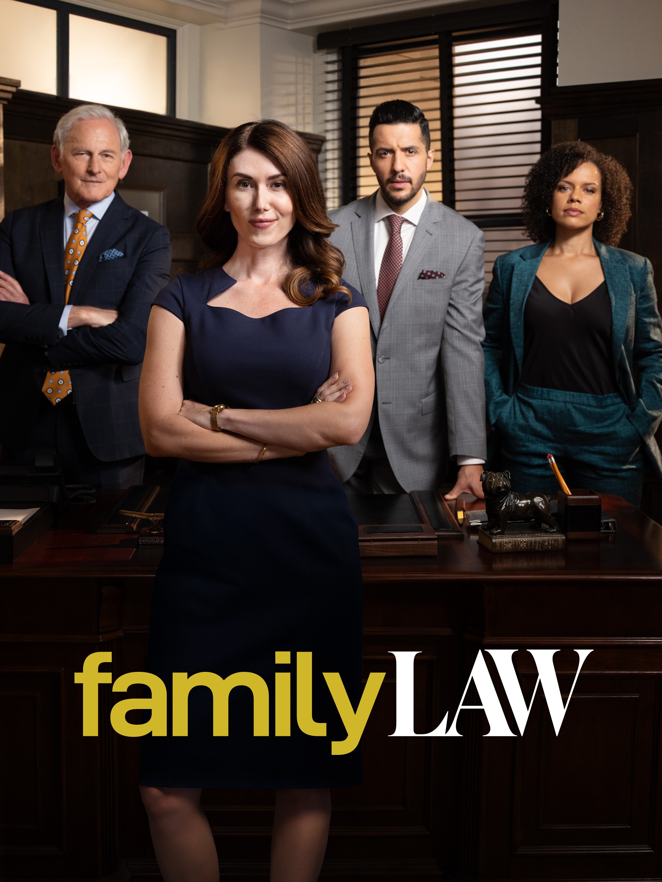 Family Law Season 2 | Rotten Tomatoes