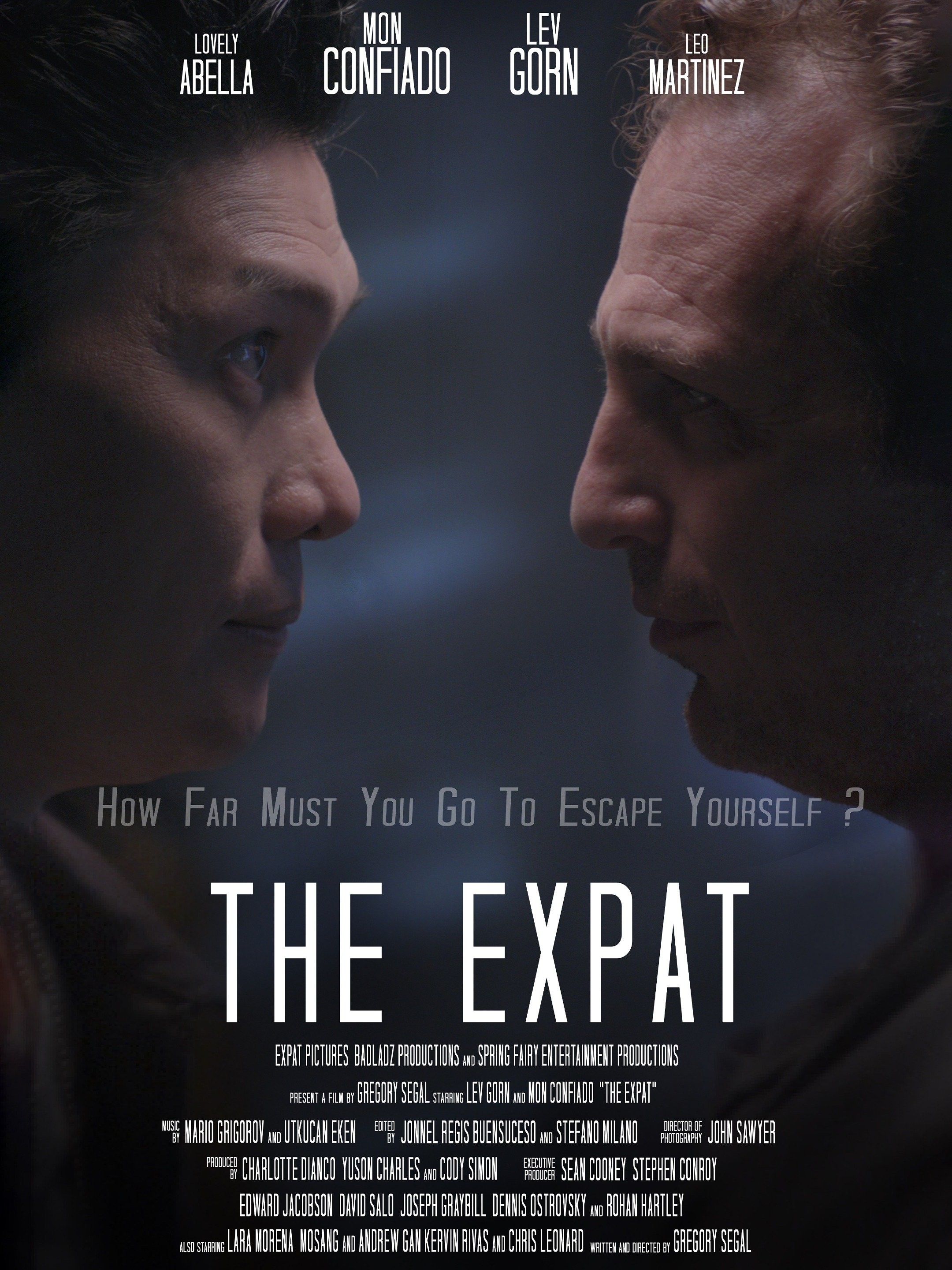 The Expat Pictures | Rotten Tomatoes