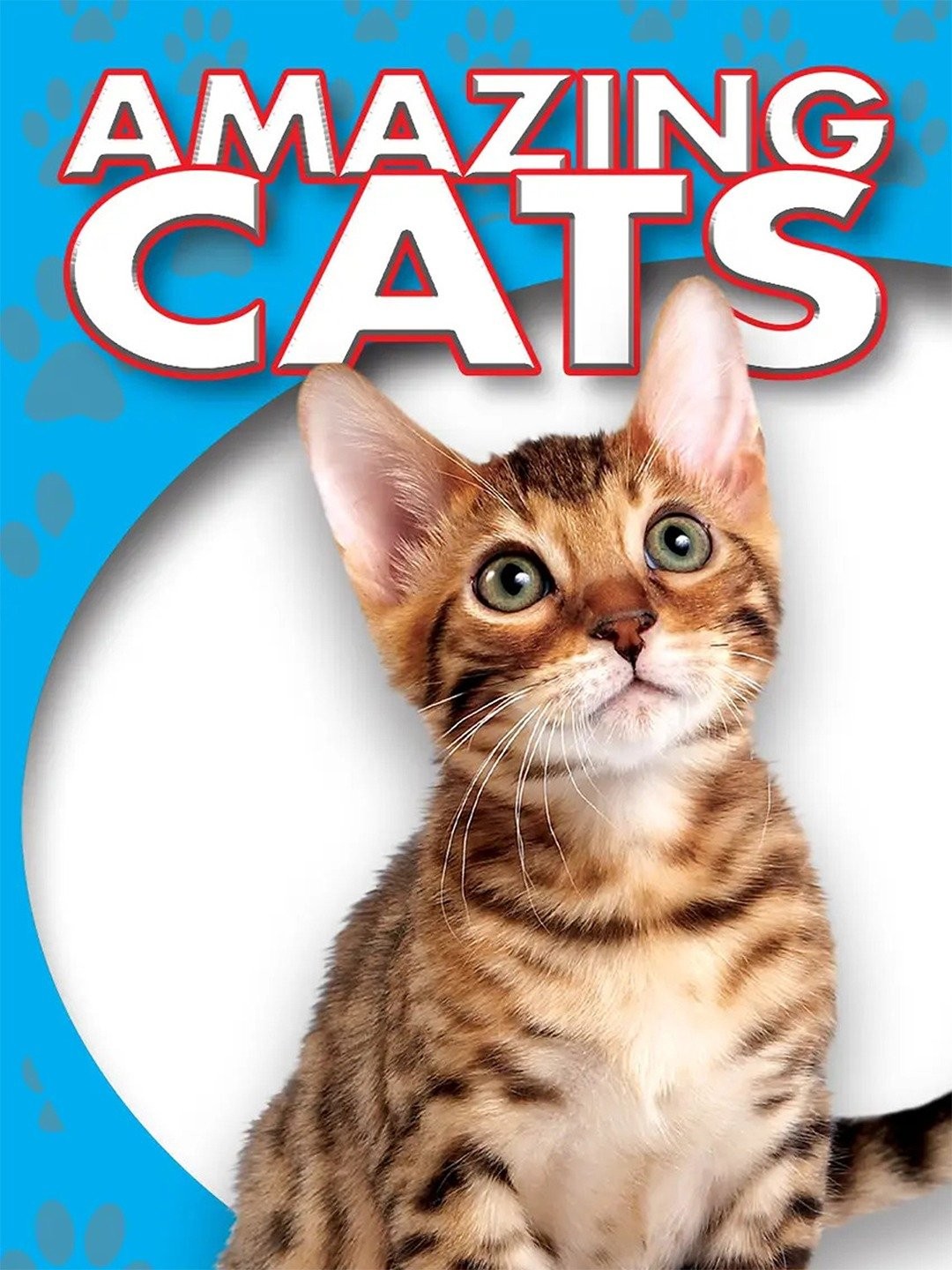 Amazing Cats Pictures | Rotten Tomatoes