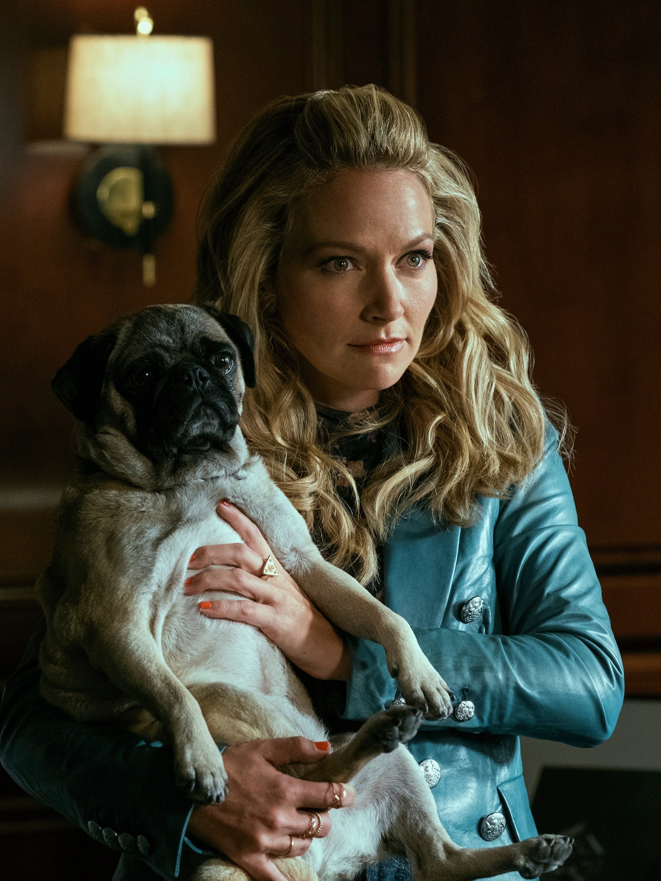 The Magic Bullet Redux Pictures | Rotten Tomatoes