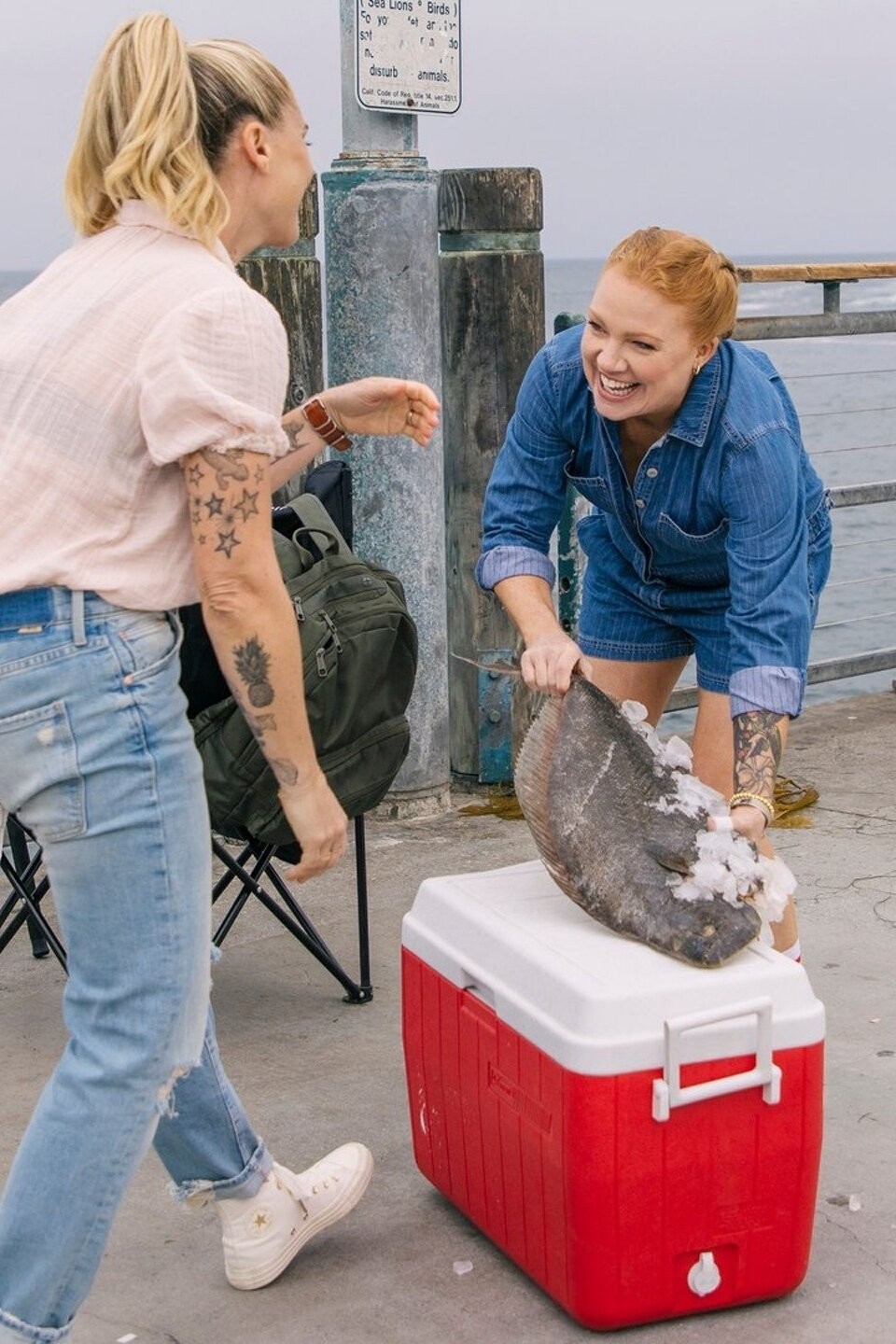 Seafood Shack Pictures - Rotten Tomatoes