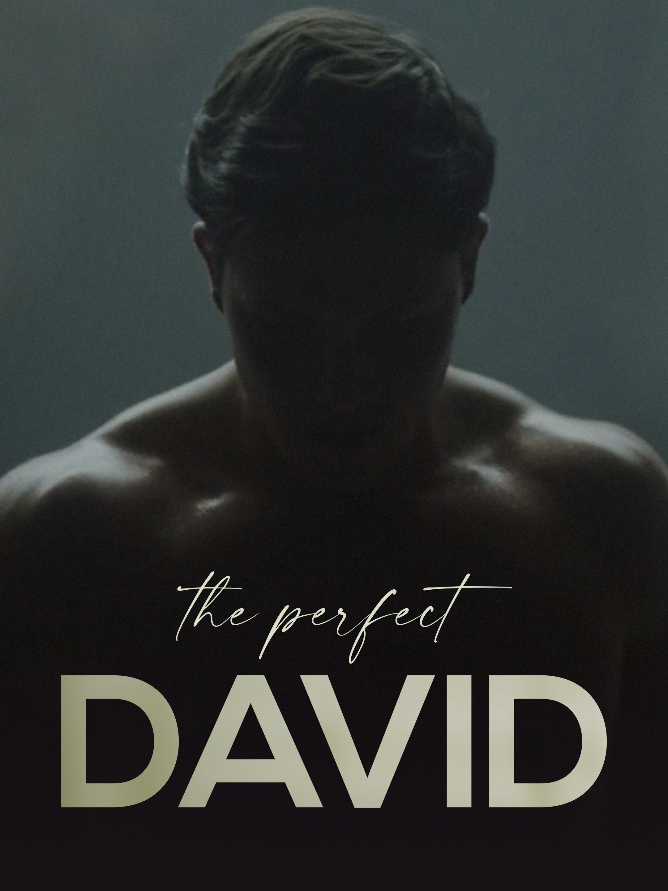 The Perfect David | Rotten Tomatoes