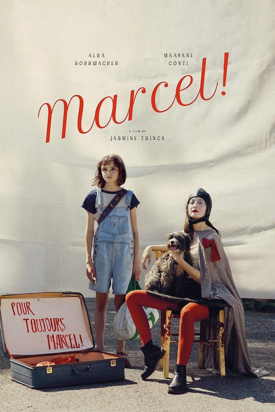 Marcel! | Rotten Tomatoes