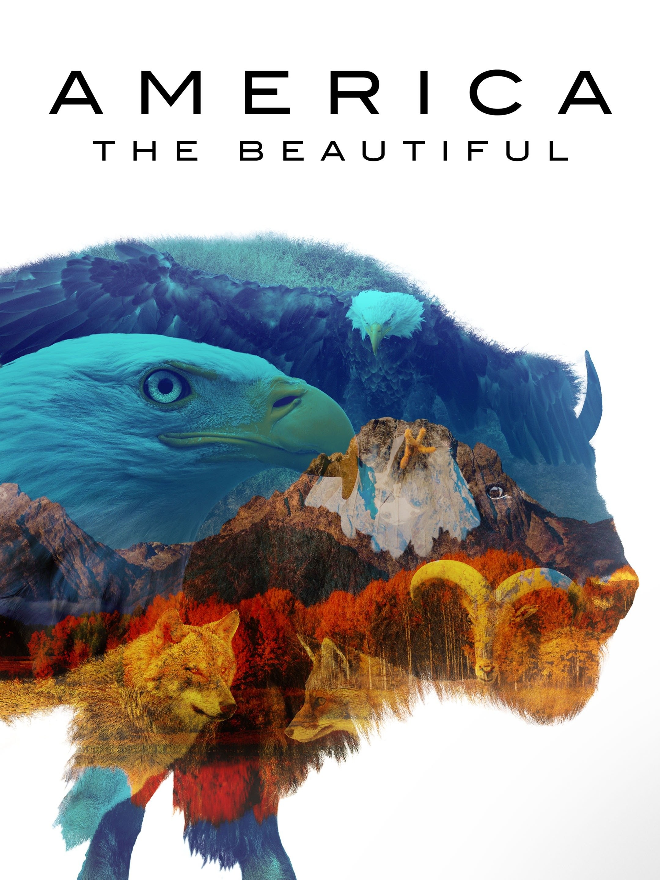 America The Beautiful Poster