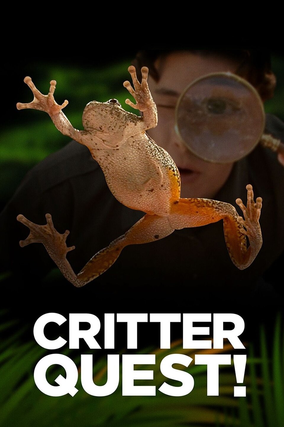 Critter Quest! Pictures | Rotten Tomatoes