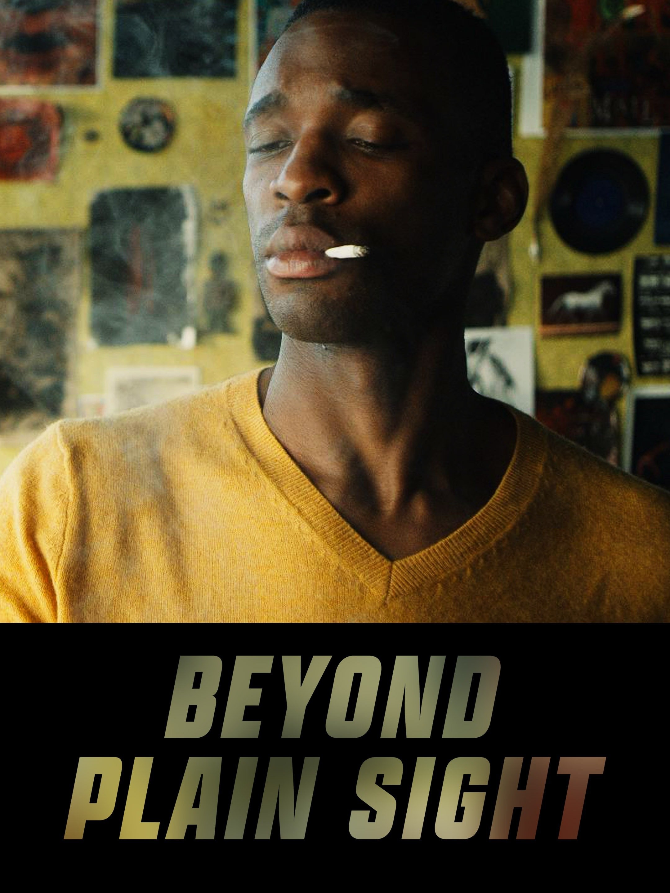 Beyond Plain Sight | Rotten Tomatoes