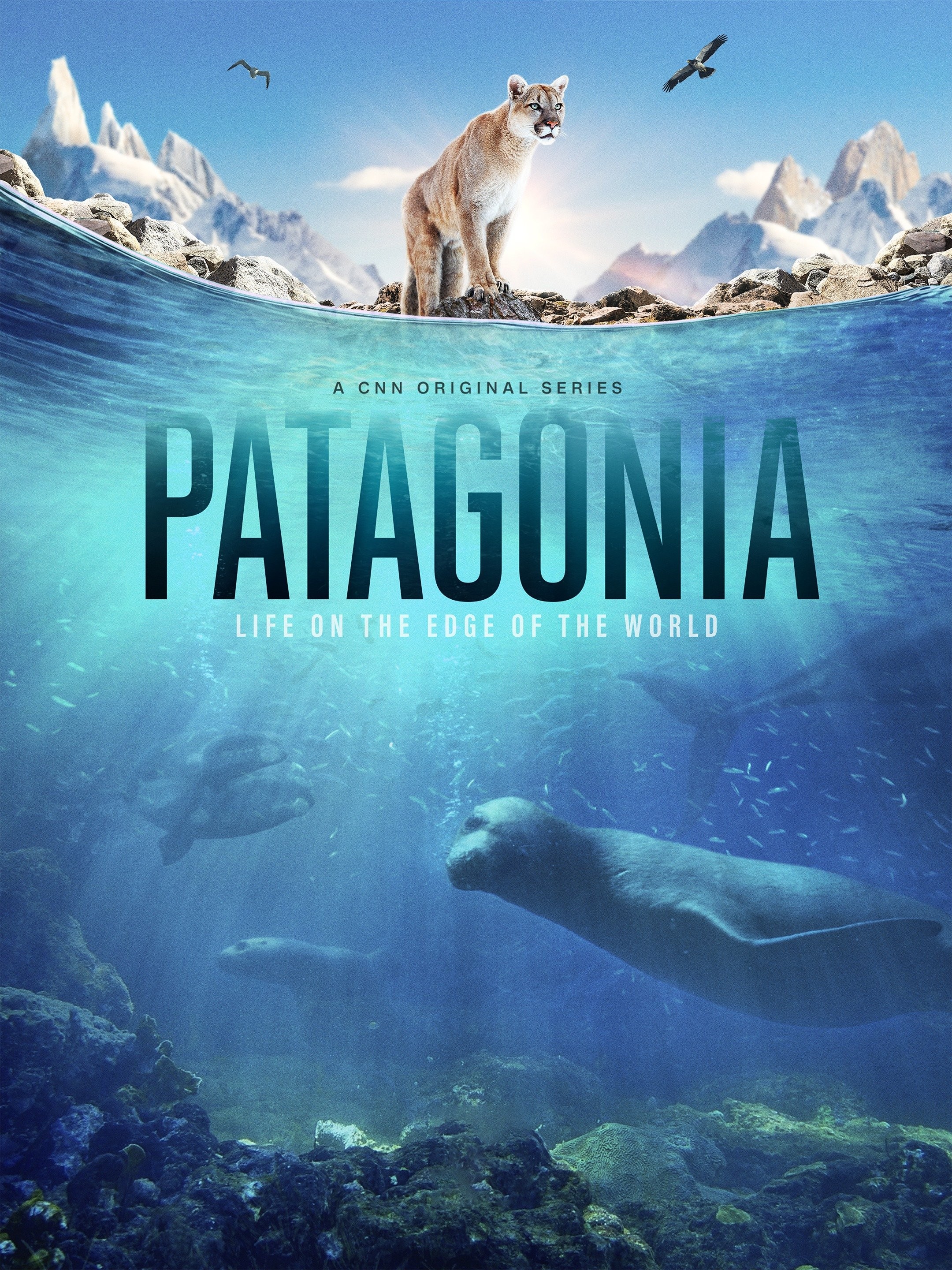 Patagonia: Life on the Edge of the World Season 1 | Rotten Tomatoes