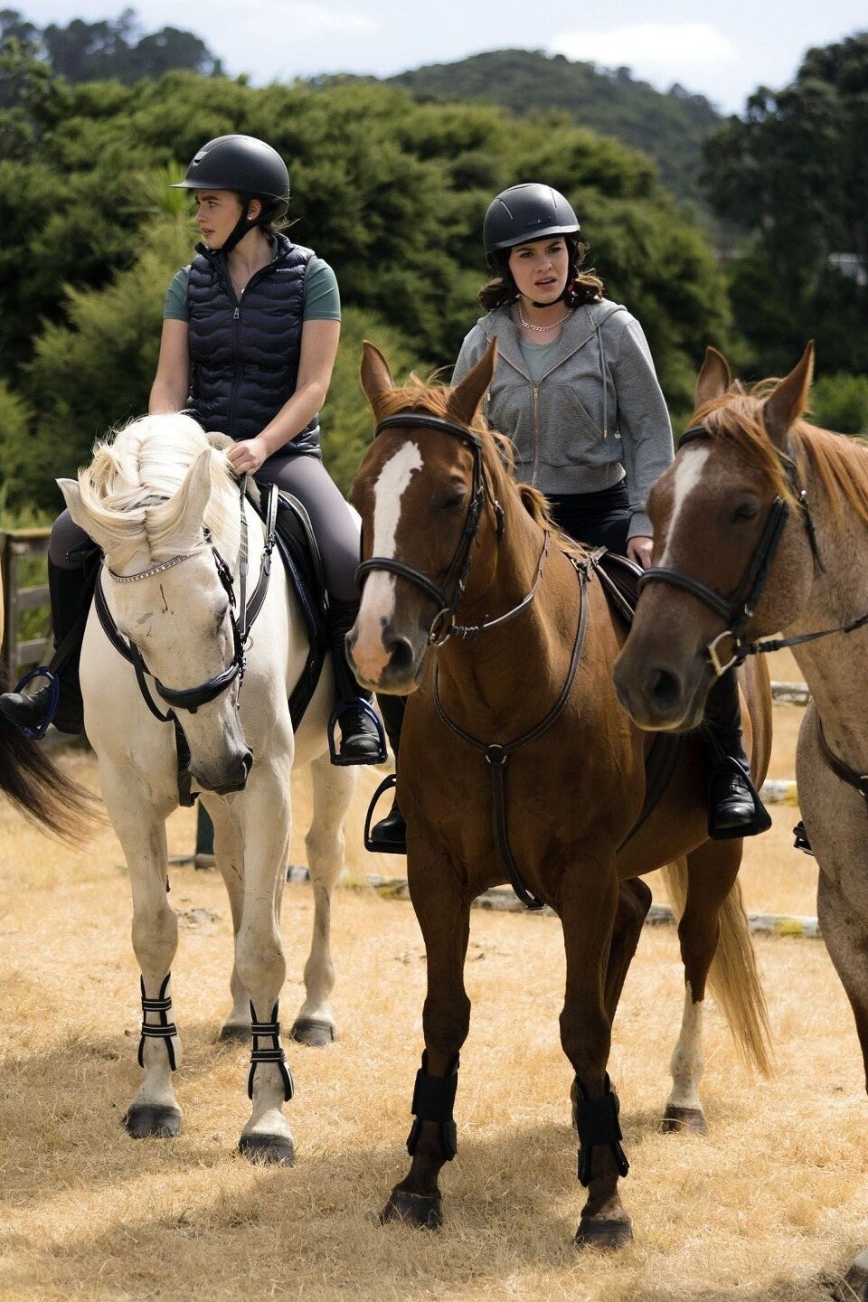 The Challenger Pictures | Rotten Tomatoes