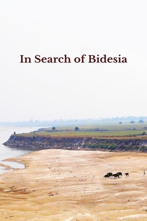In Search of Bidesia Pictures | Rotten Tomatoes
