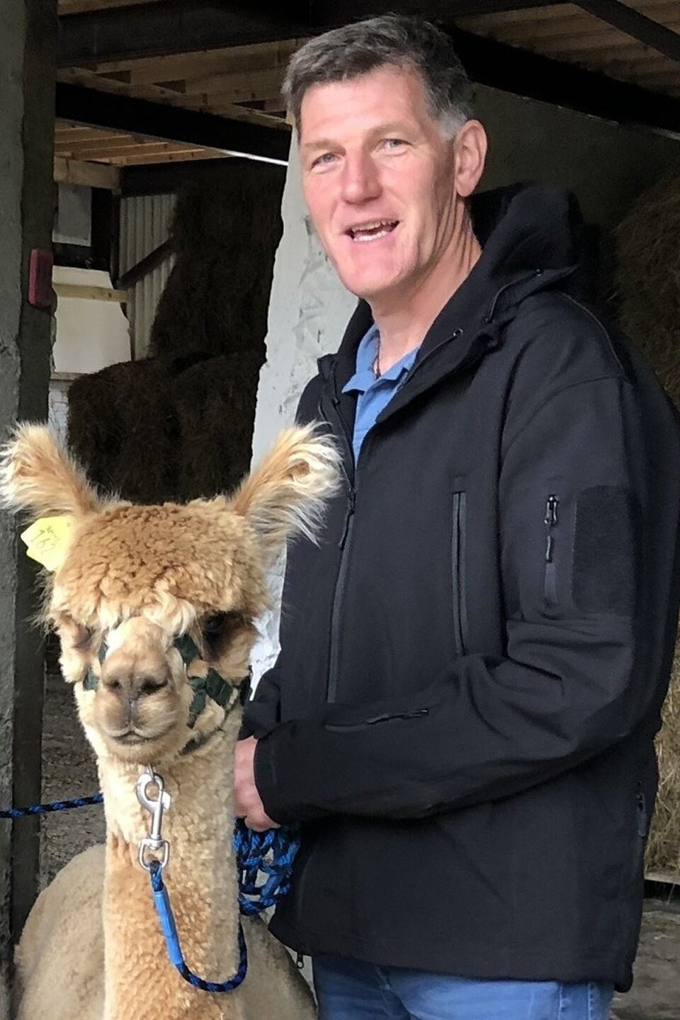 K2 ALPACAS. Newtown Mount Kennedy, Co Wicklow Pictures | Rotten Tomatoes