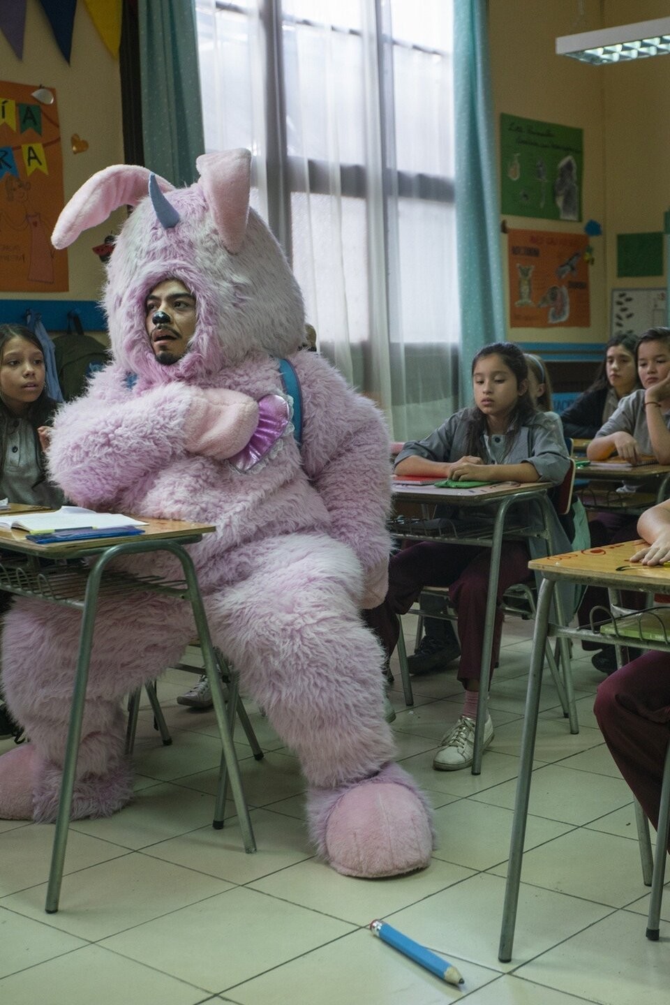 Bibi's Pictures - Rotten Tomatoes