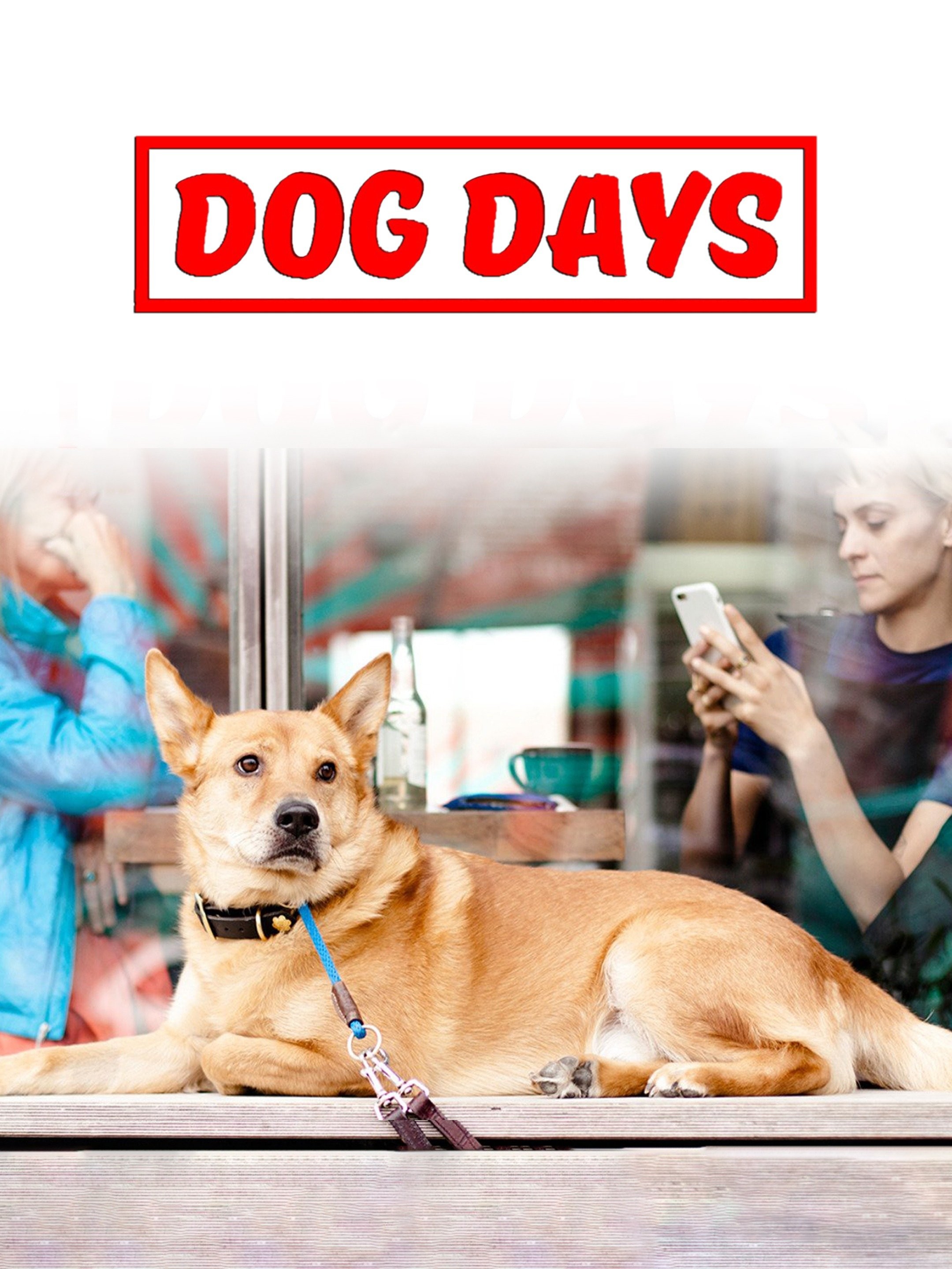 Dog Days | Rotten Tomatoes