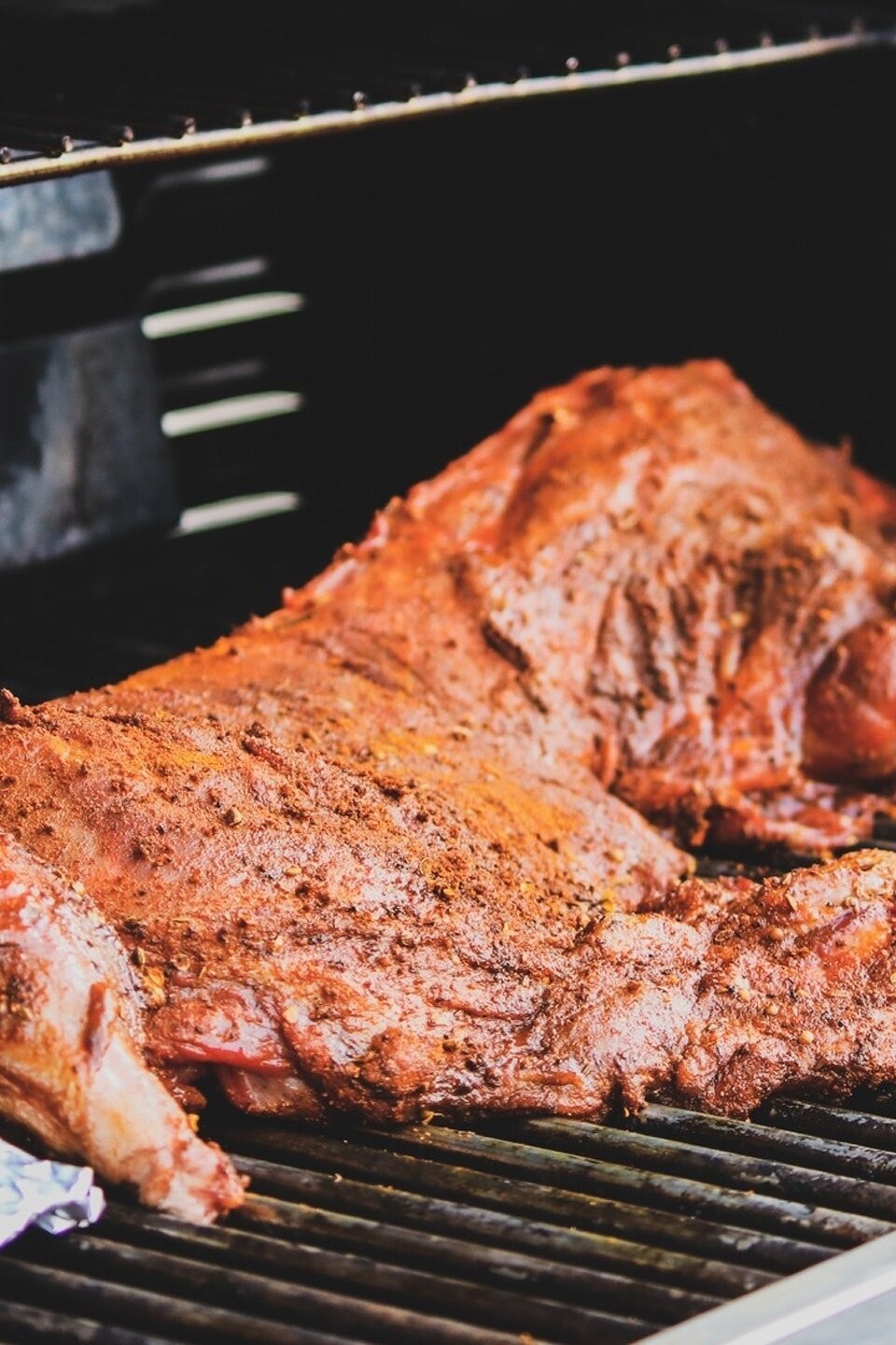 Beaver Pictures - Rotten Tomatoes