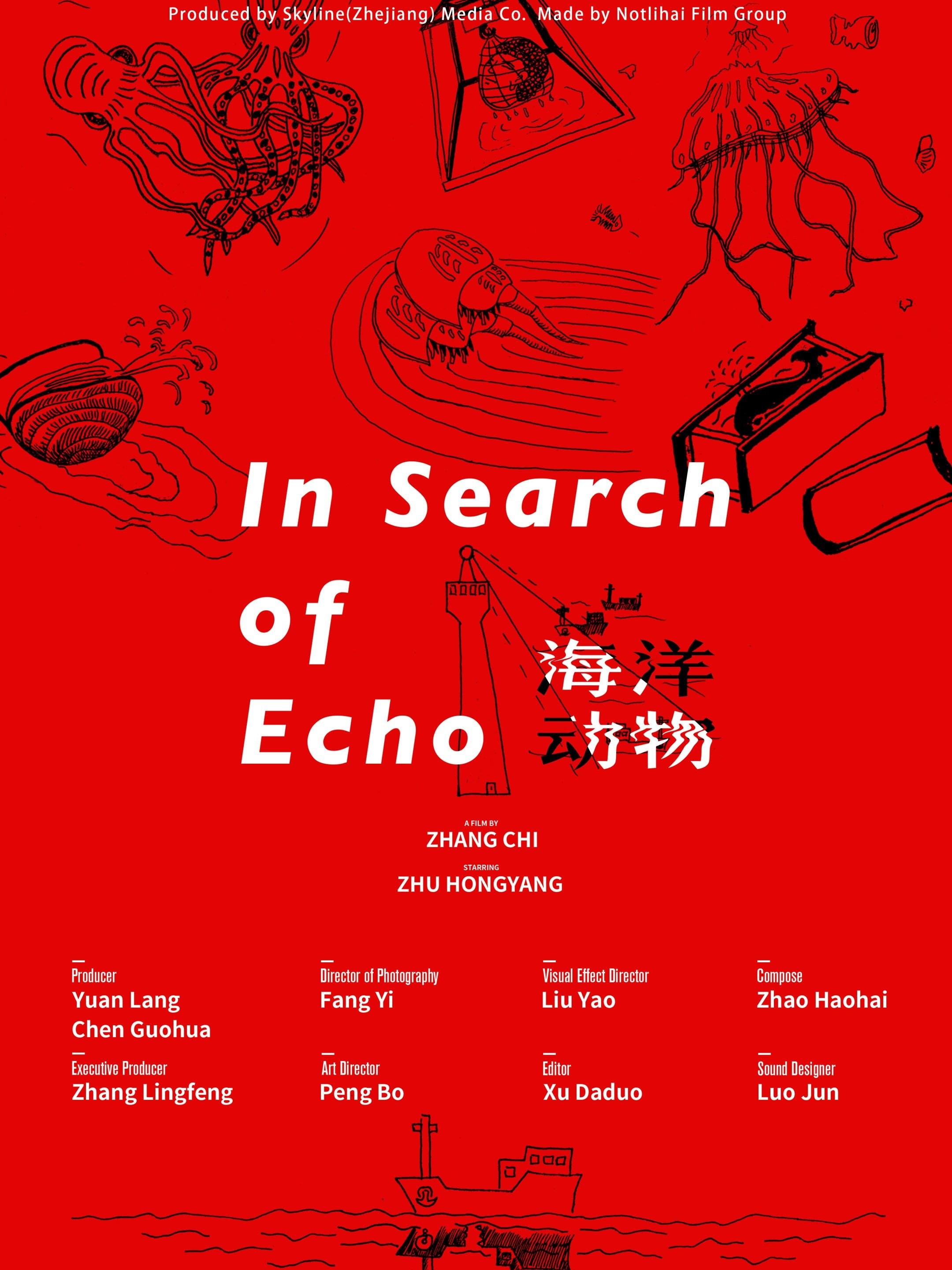 In Search of Echo Pictures | Rotten Tomatoes