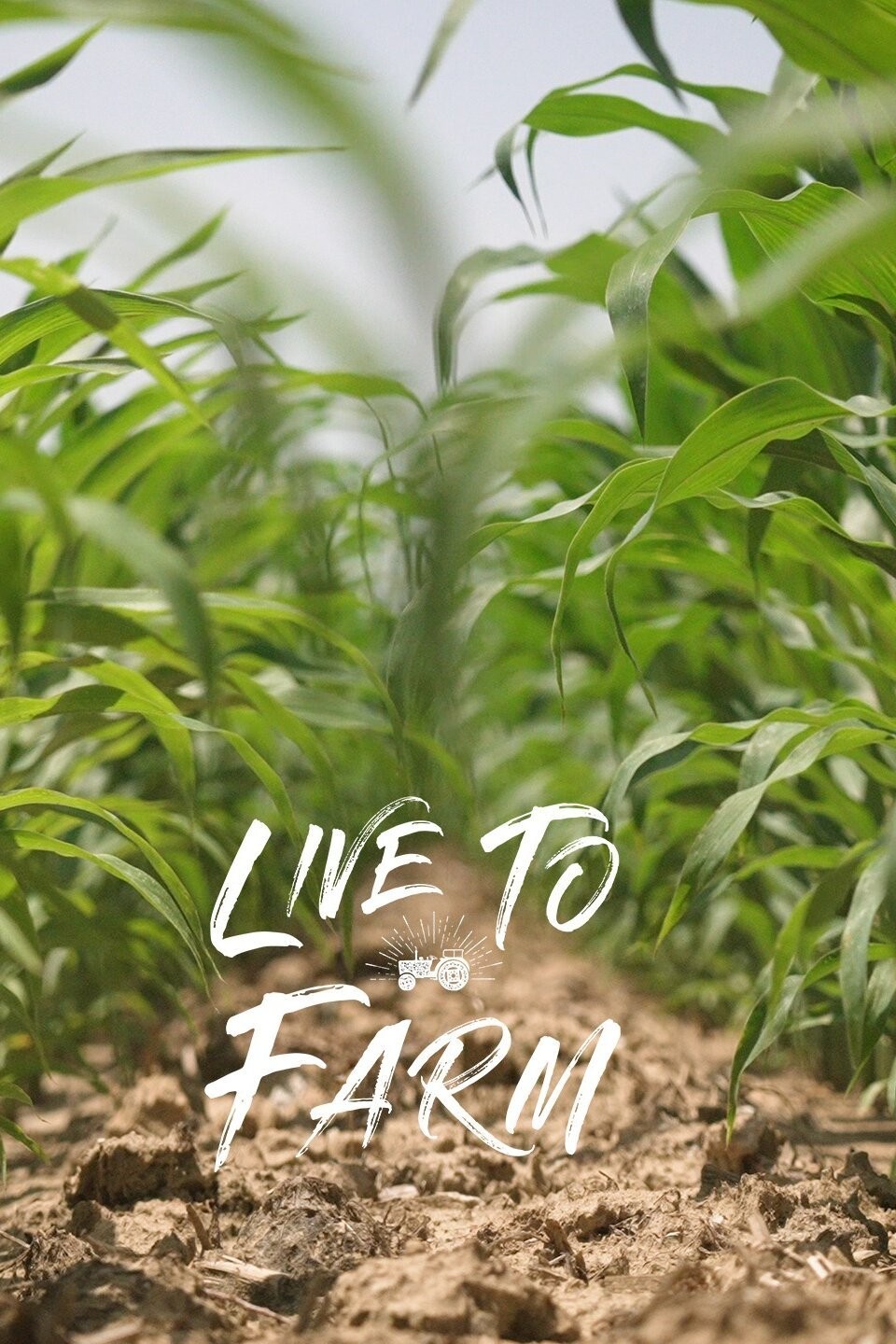 Live to Farm Season 1 | Rotten Tomatoes