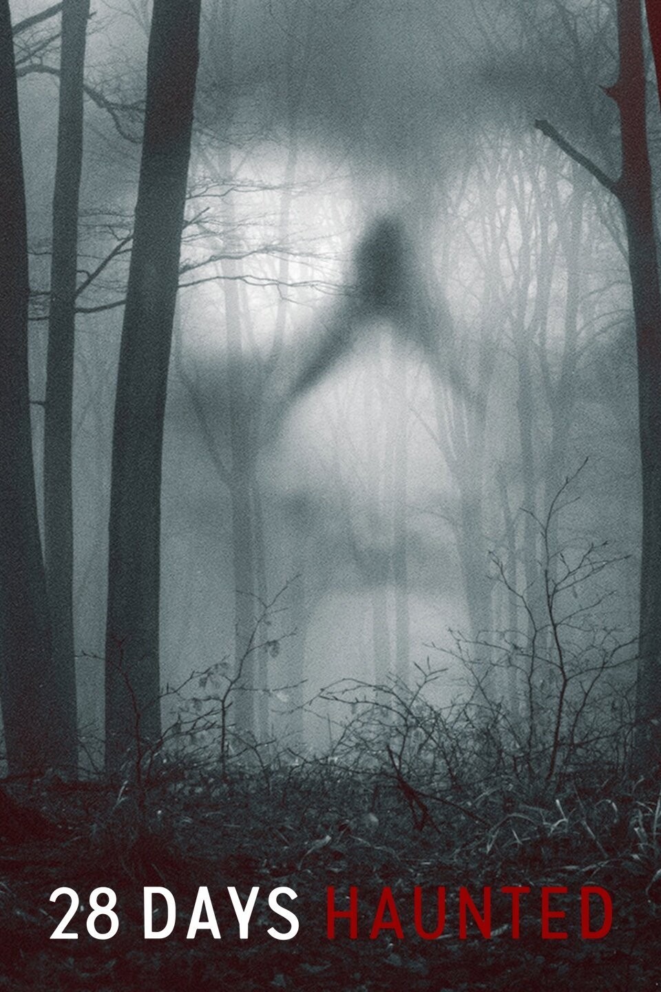 28 Days Haunted | Rotten Tomatoes