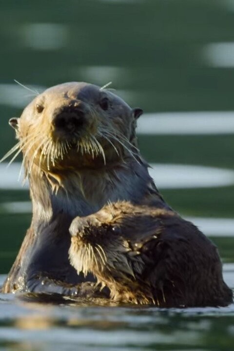 Fall Pictures | Rotten Tomatoes