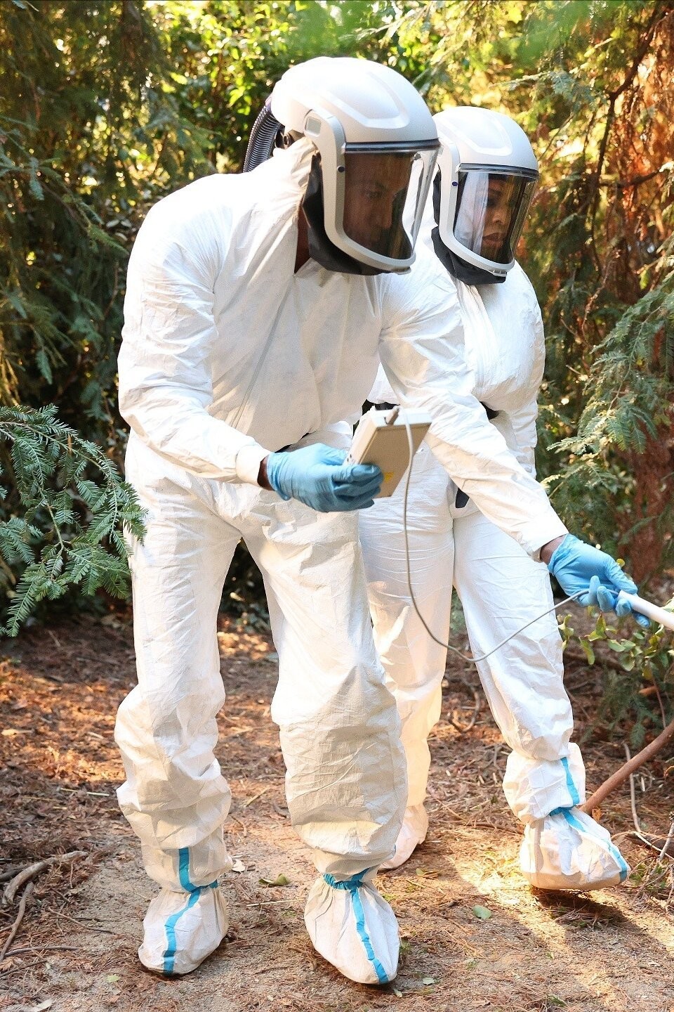 Countdown Pictures | Rotten Tomatoes