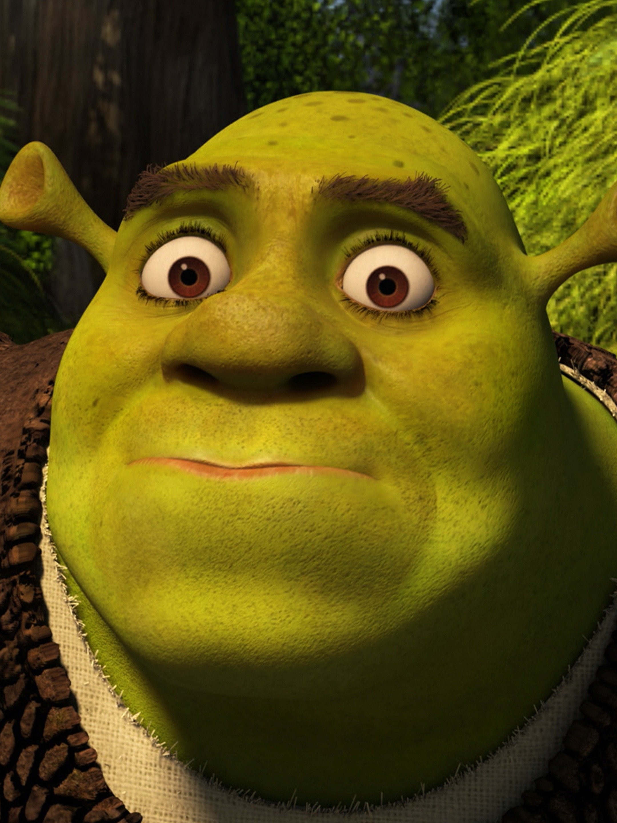 Ogre Reactions Pictures - Rotten Tomatoes