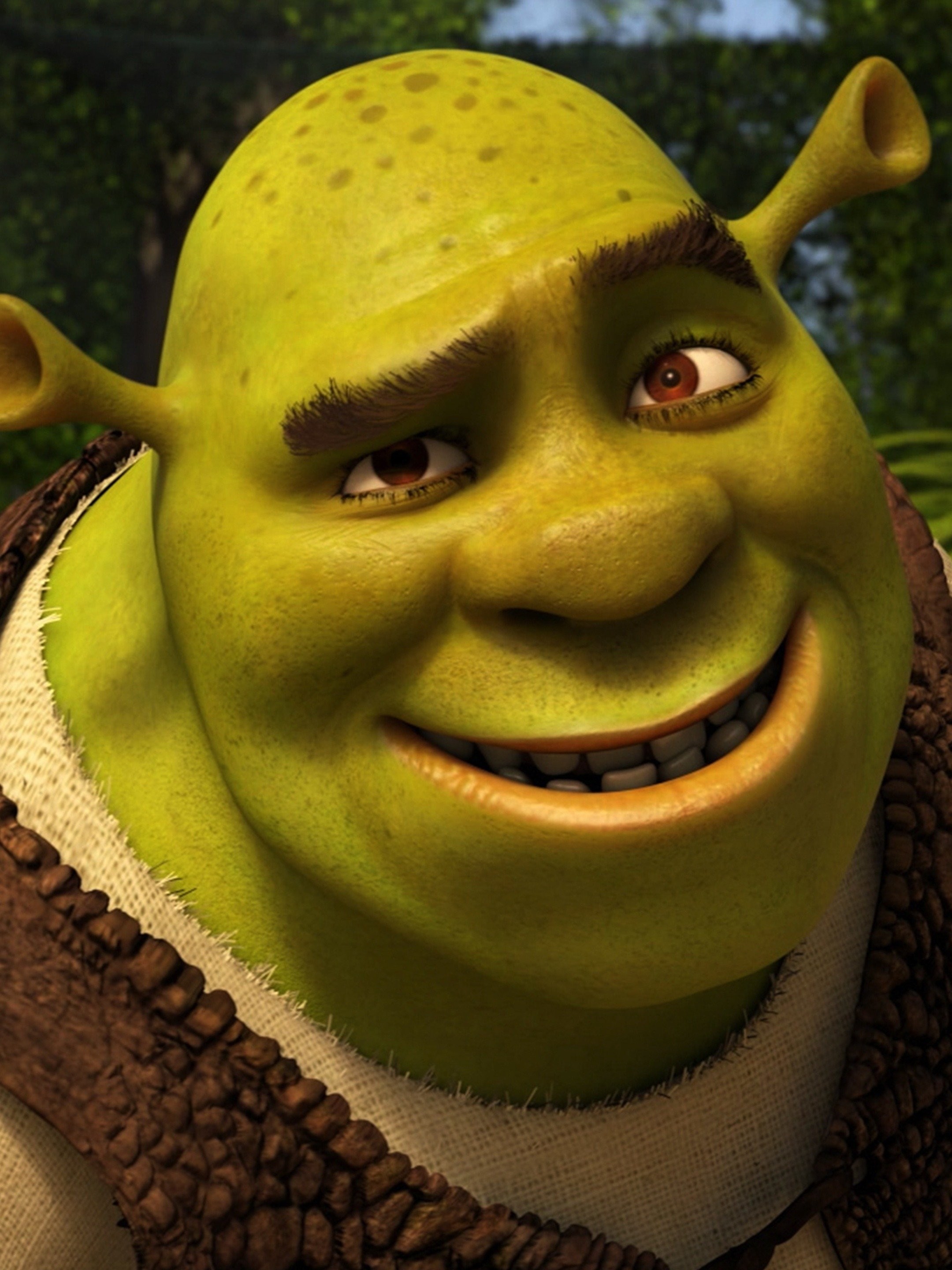 How To Date An Ogre Pictures | Rotten Tomatoes