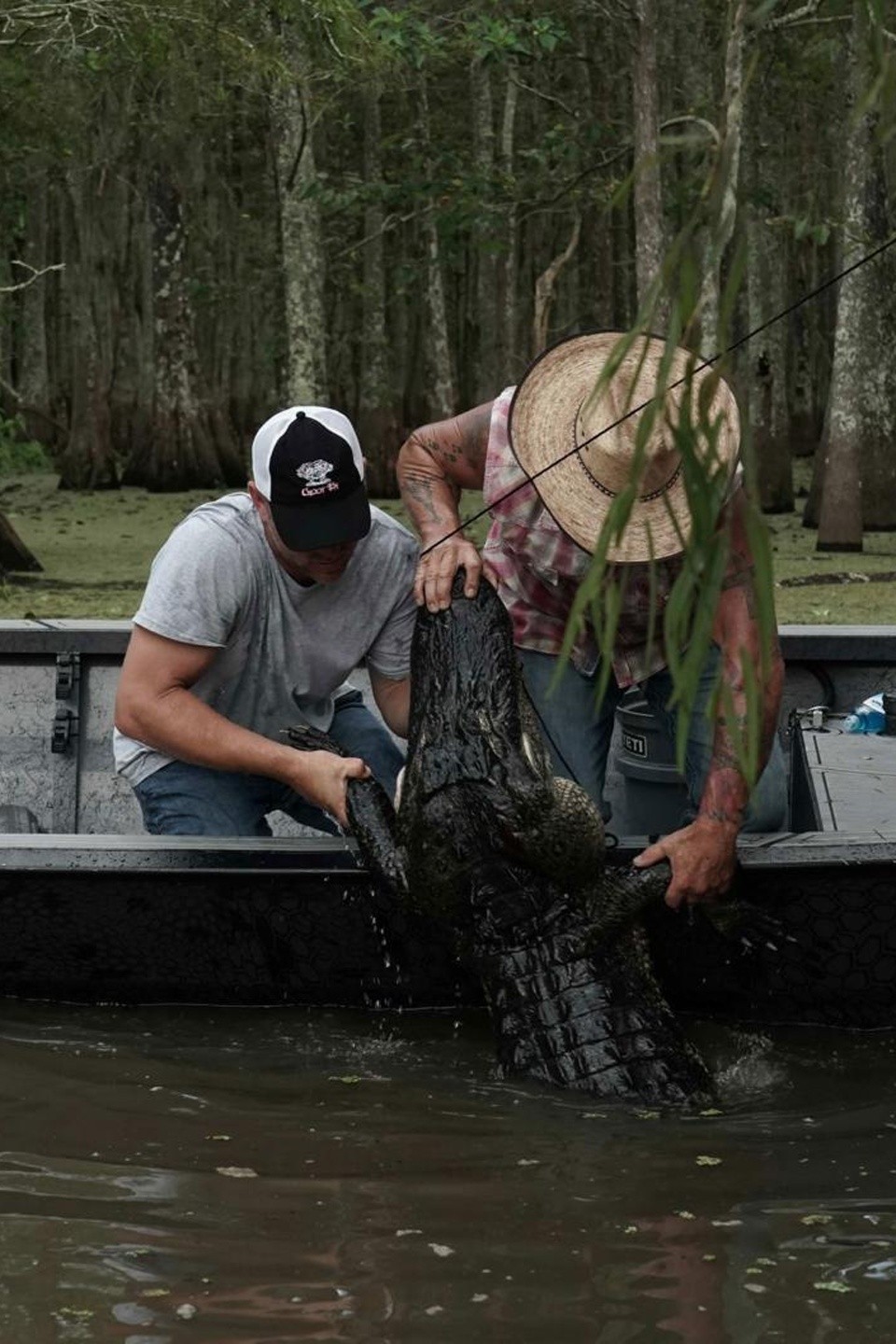 Pirate Cursed Gators Pictures - Rotten Tomatoes