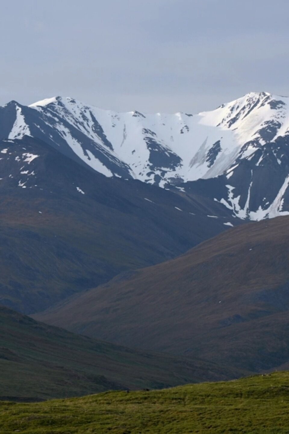 Battle for Alaska's Oil Pictures - Rotten Tomatoes