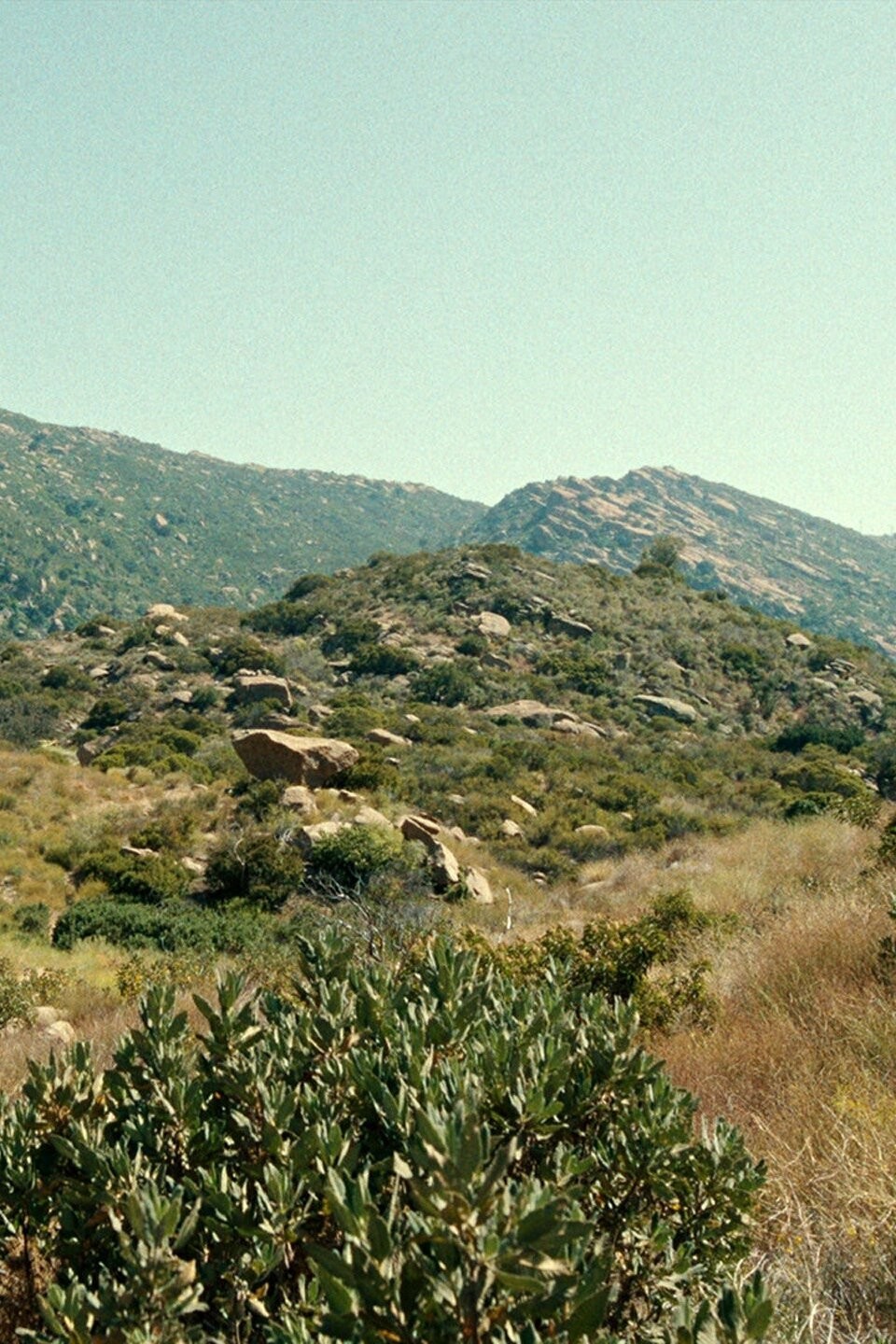 Figures of Light Pictures | Rotten Tomatoes