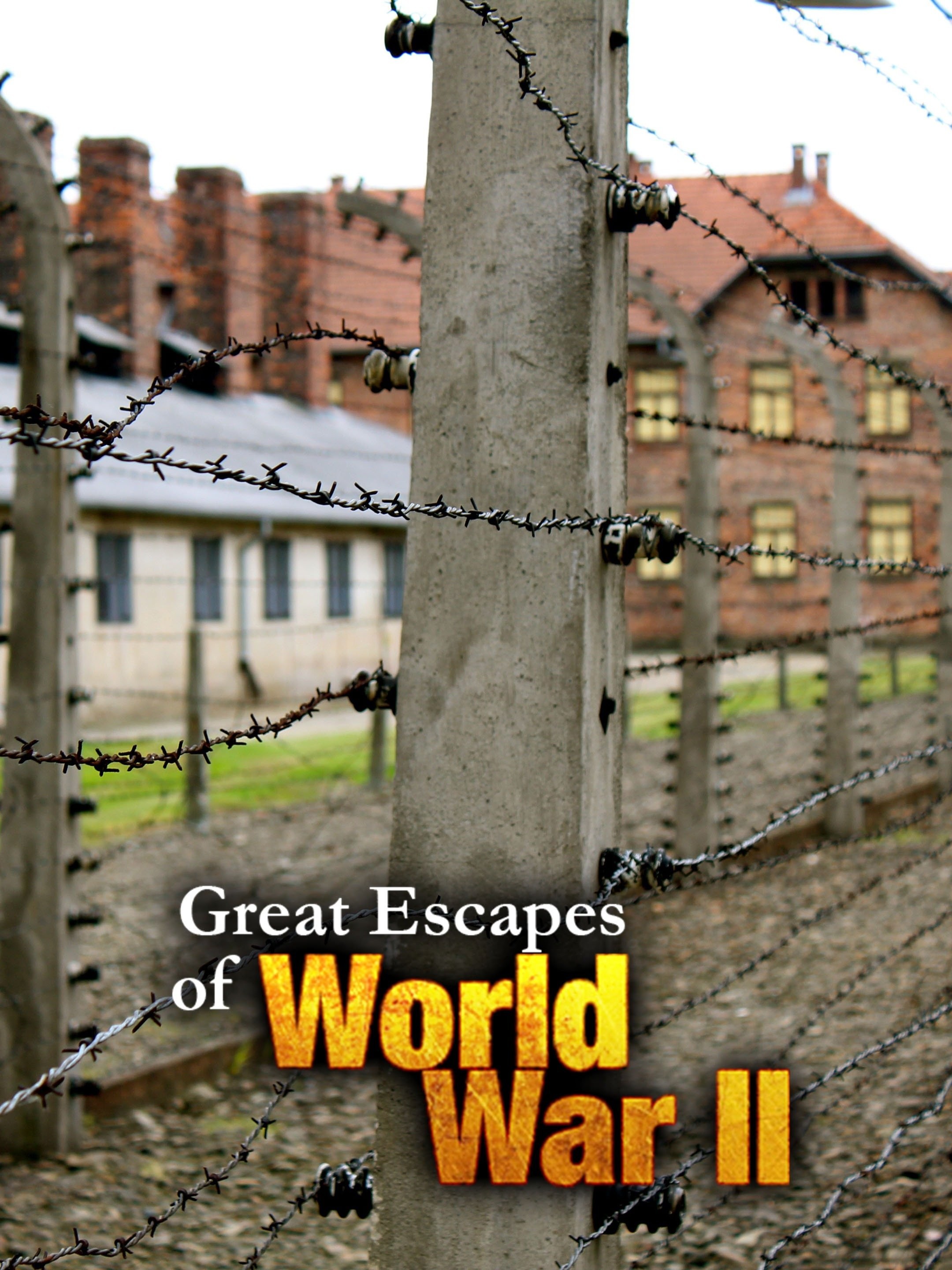 Great Escapes of World War II | Rotten Tomatoes