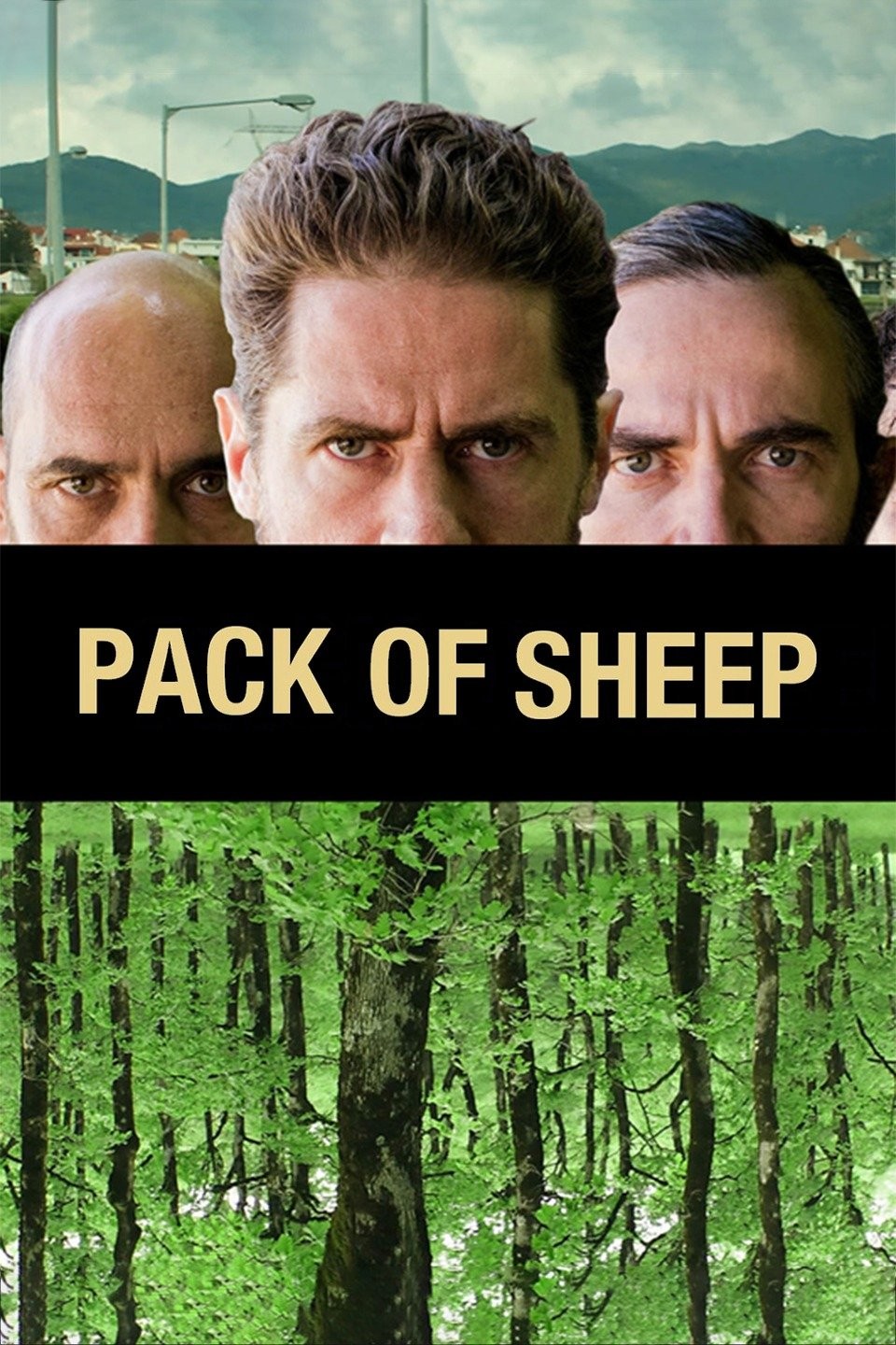 Pack Of Sheep Pictures | Rotten Tomatoes