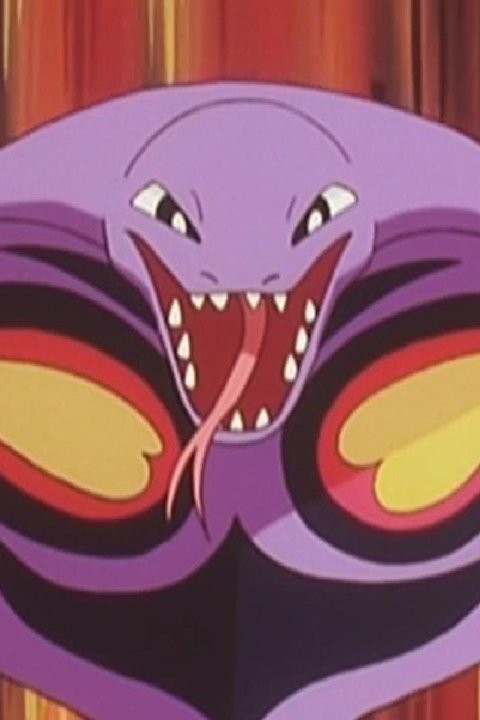 Forest Grumps! Pictures | Rotten Tomatoes