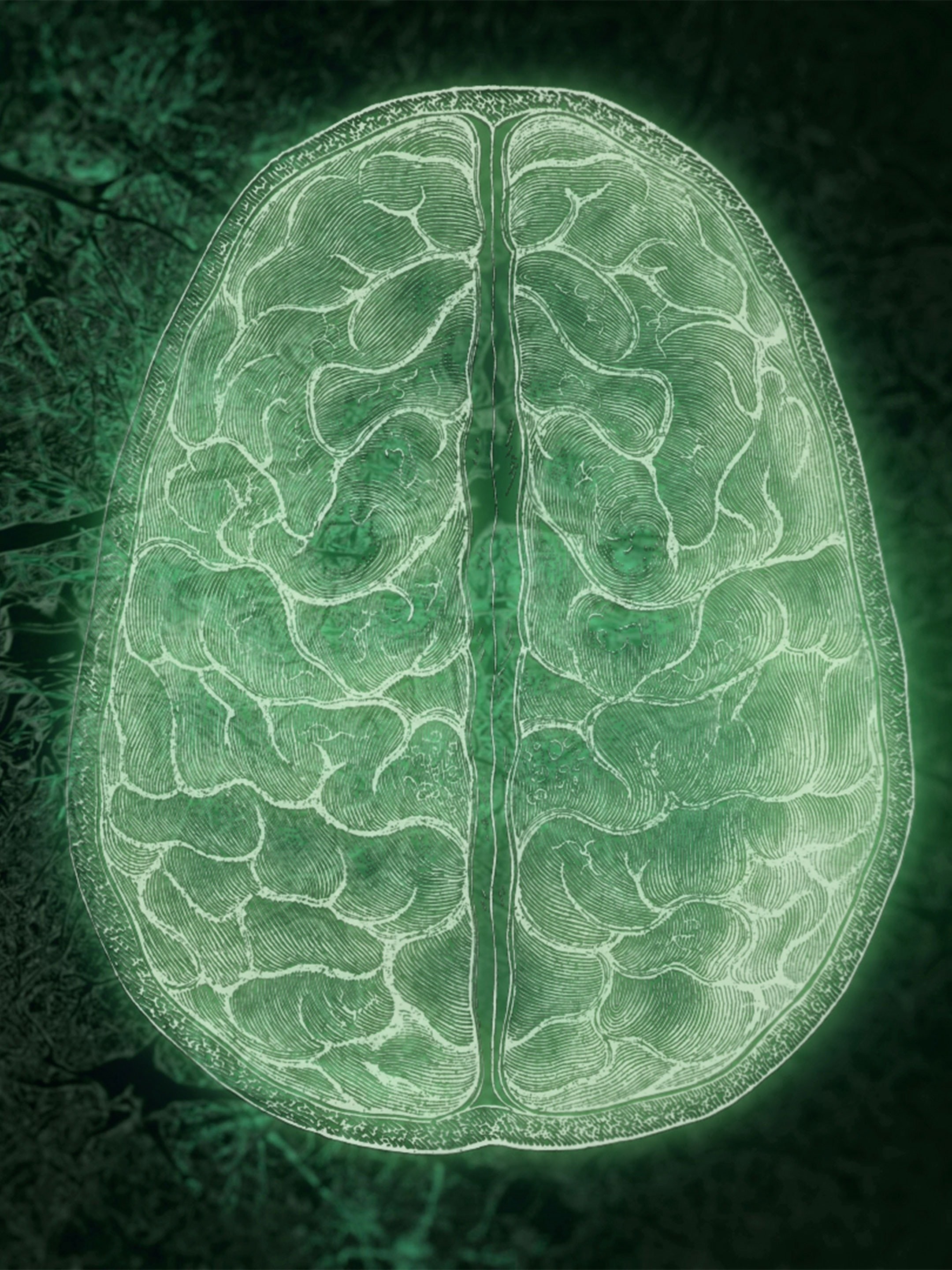 Your Brain Whos In Control Pictures Rotten Tomatoes