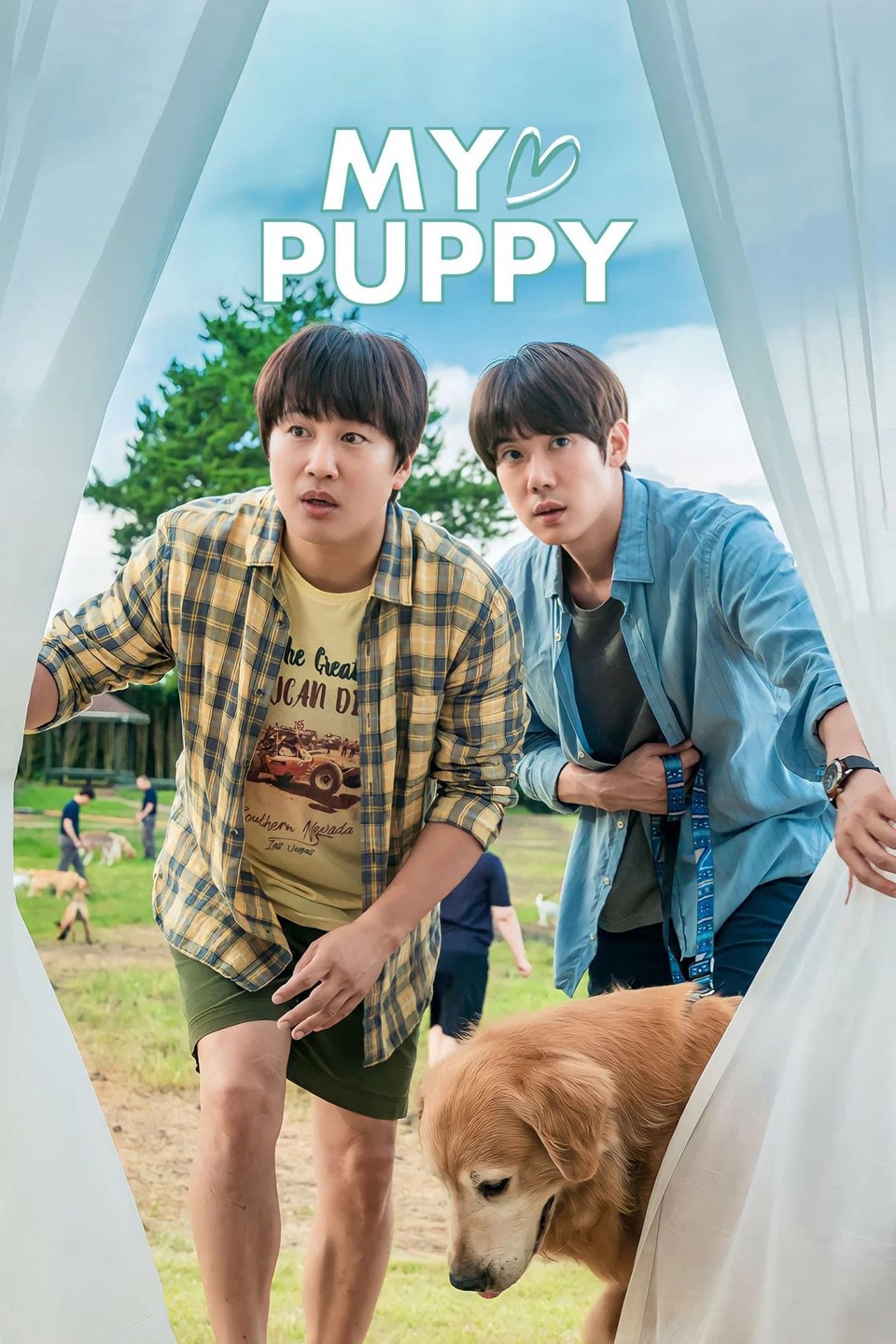 My Heart Puppy | Rotten Tomatoes