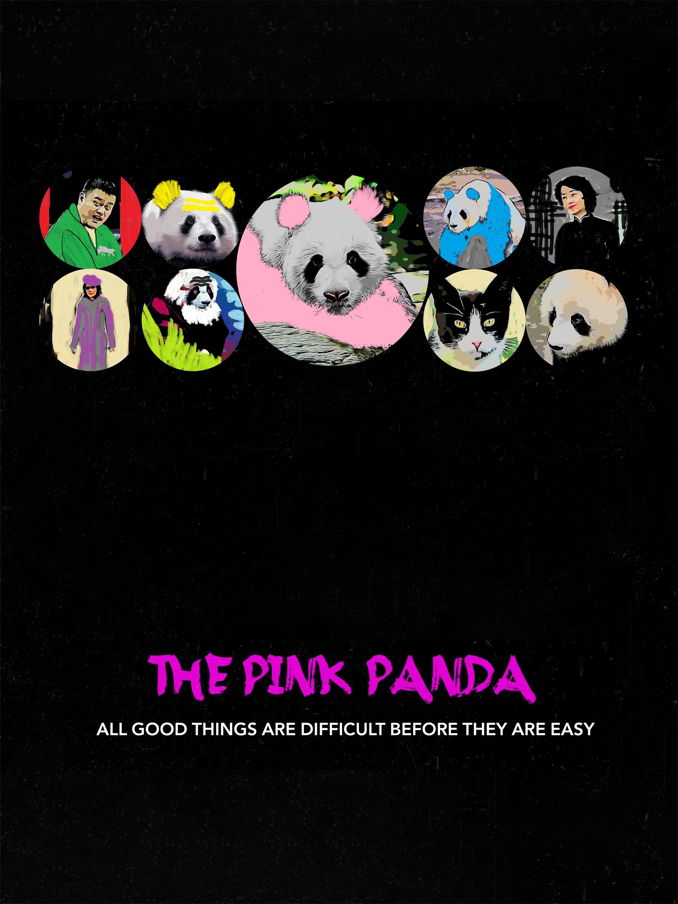 The Pink Panda | Rotten Tomatoes