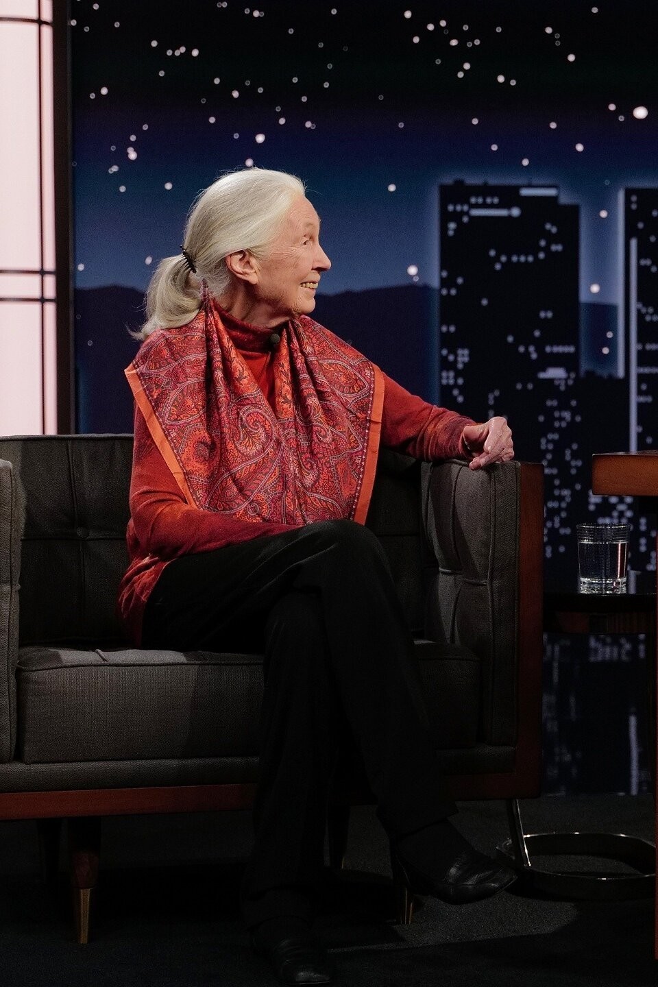 Bill Hader; Jane Goodall; Metallica Pictures | Rotten Tomatoes