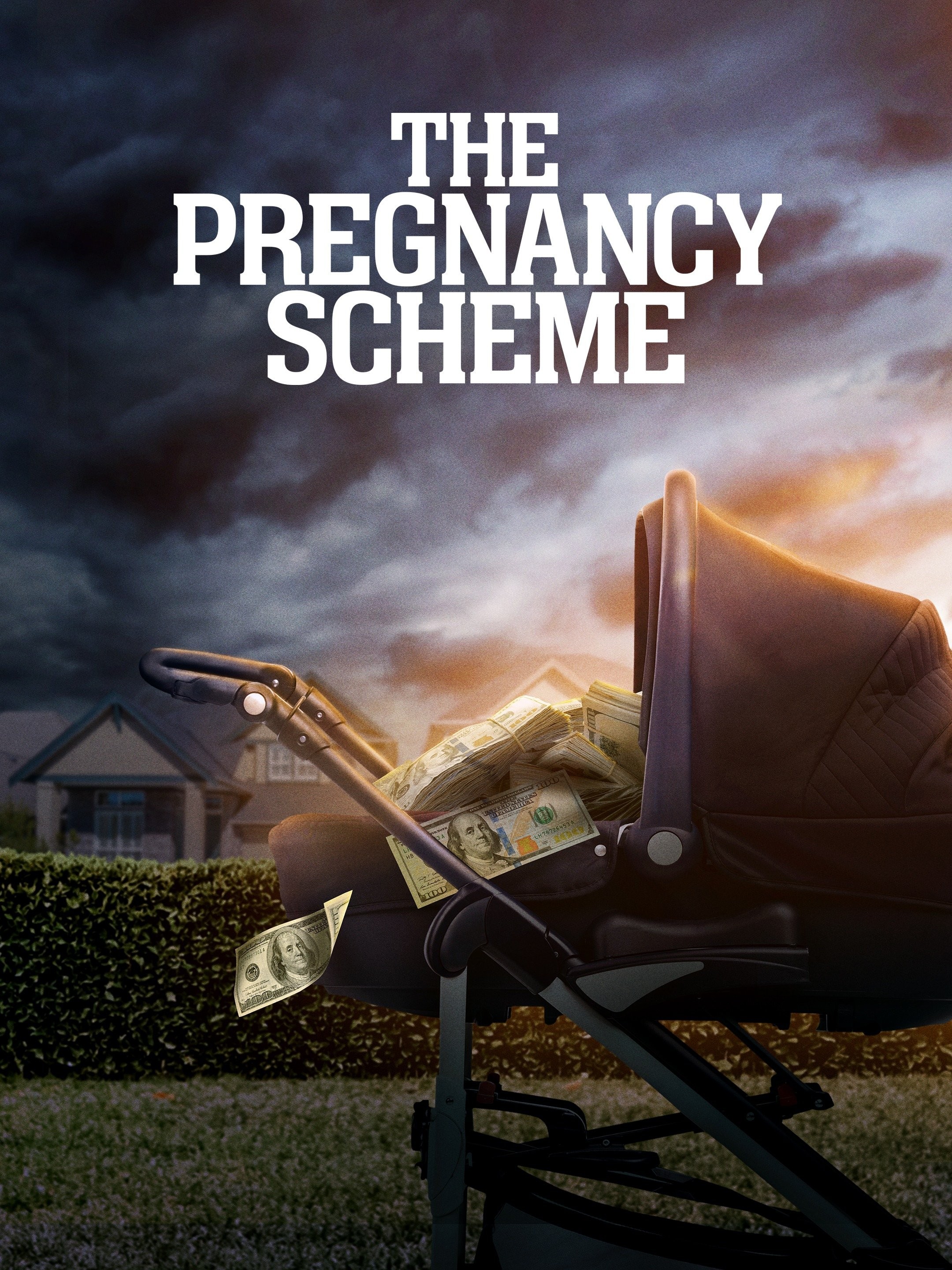 The Pregnancy Scheme | Rotten Tomatoes