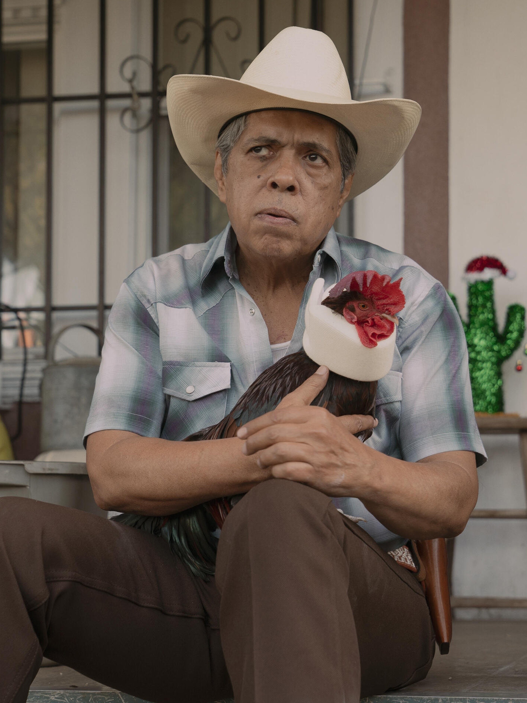 The Rooster Pictures | Rotten Tomatoes