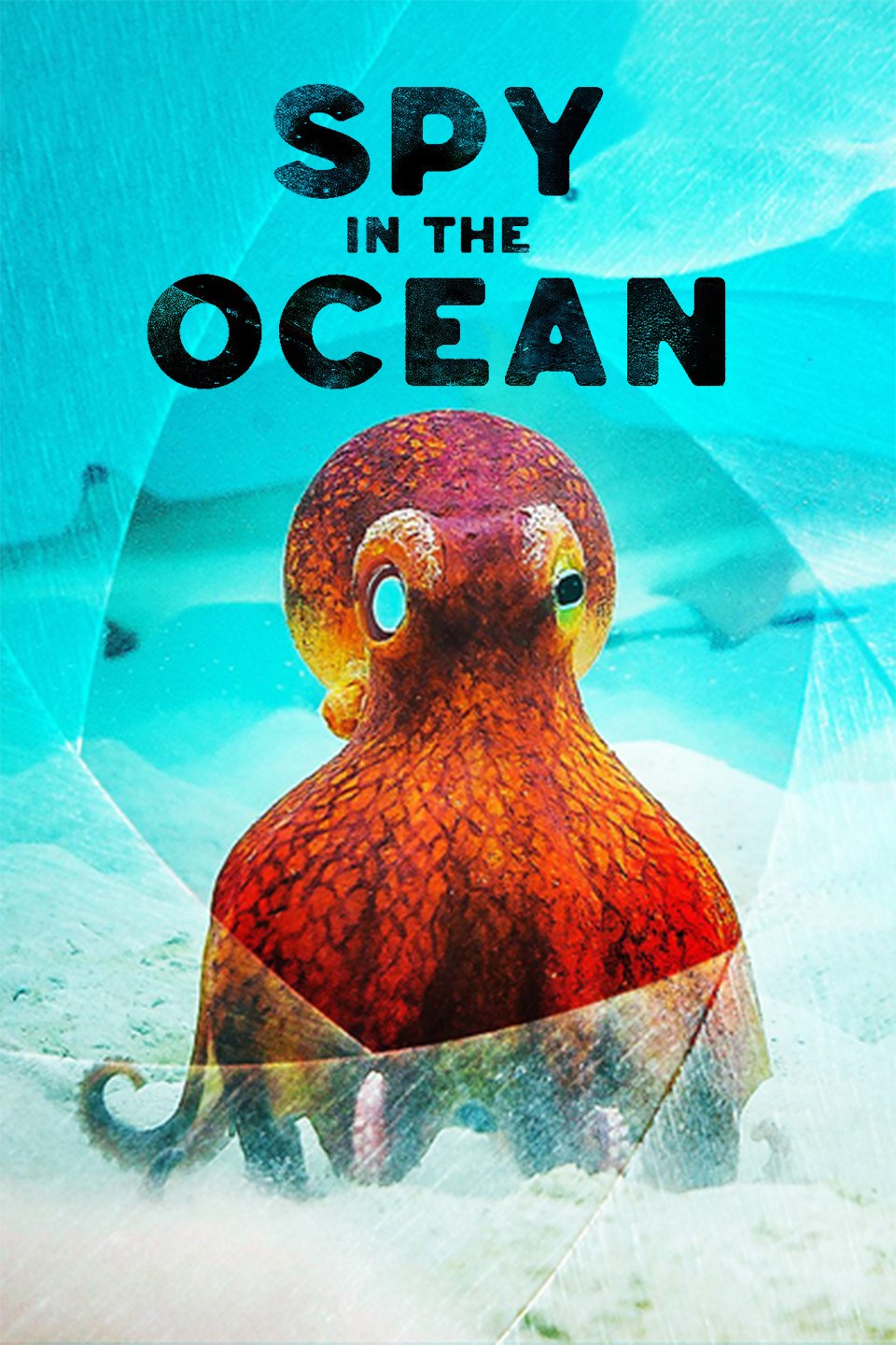 Spy in the Ocean Season 1 | Rotten Tomatoes
