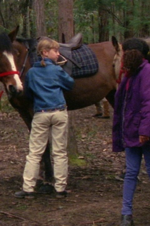 Trail Ride Pictures | Rotten Tomatoes